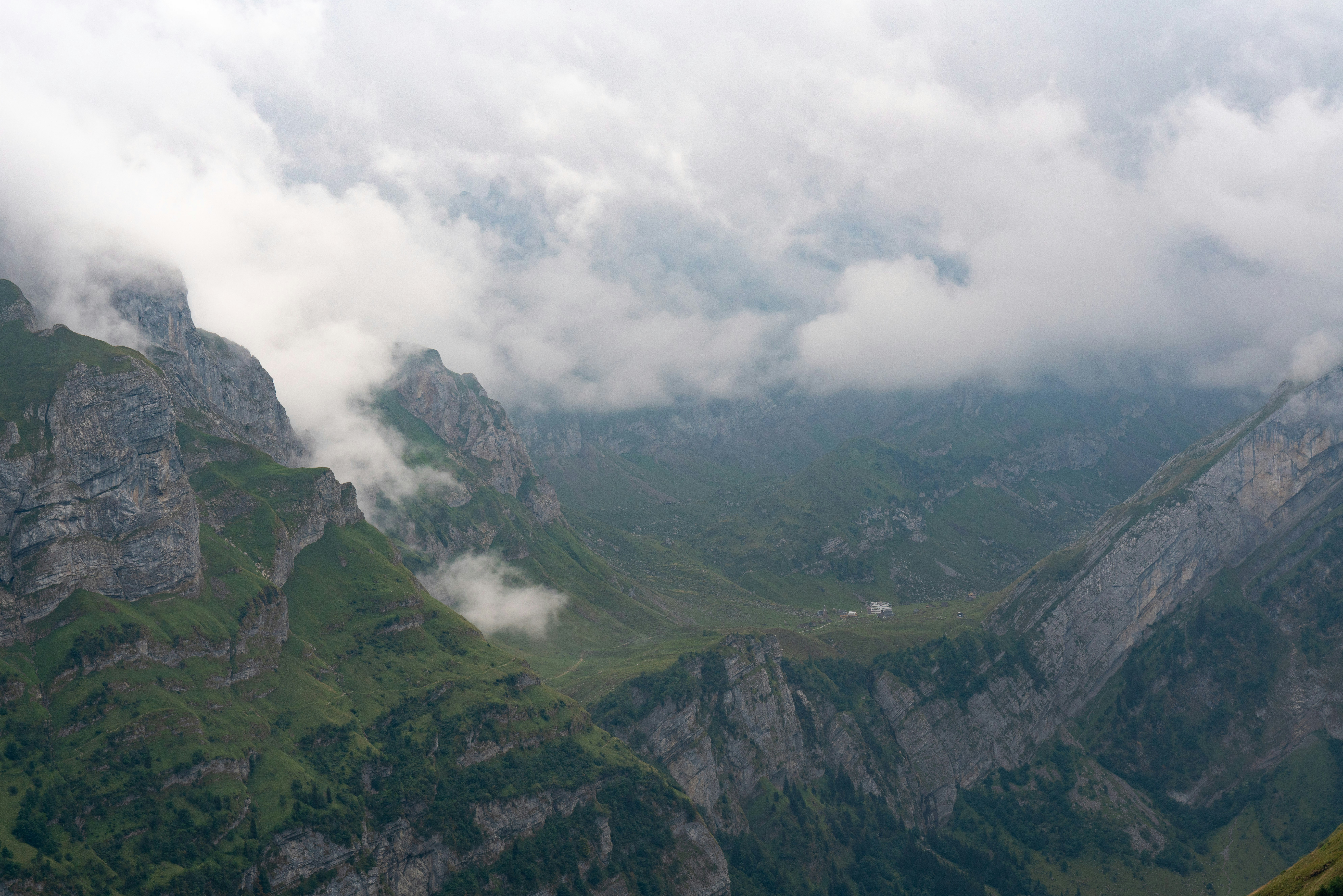 Ascending Valley Veil: A Mist-Clad Ridge Over a Green Gorge