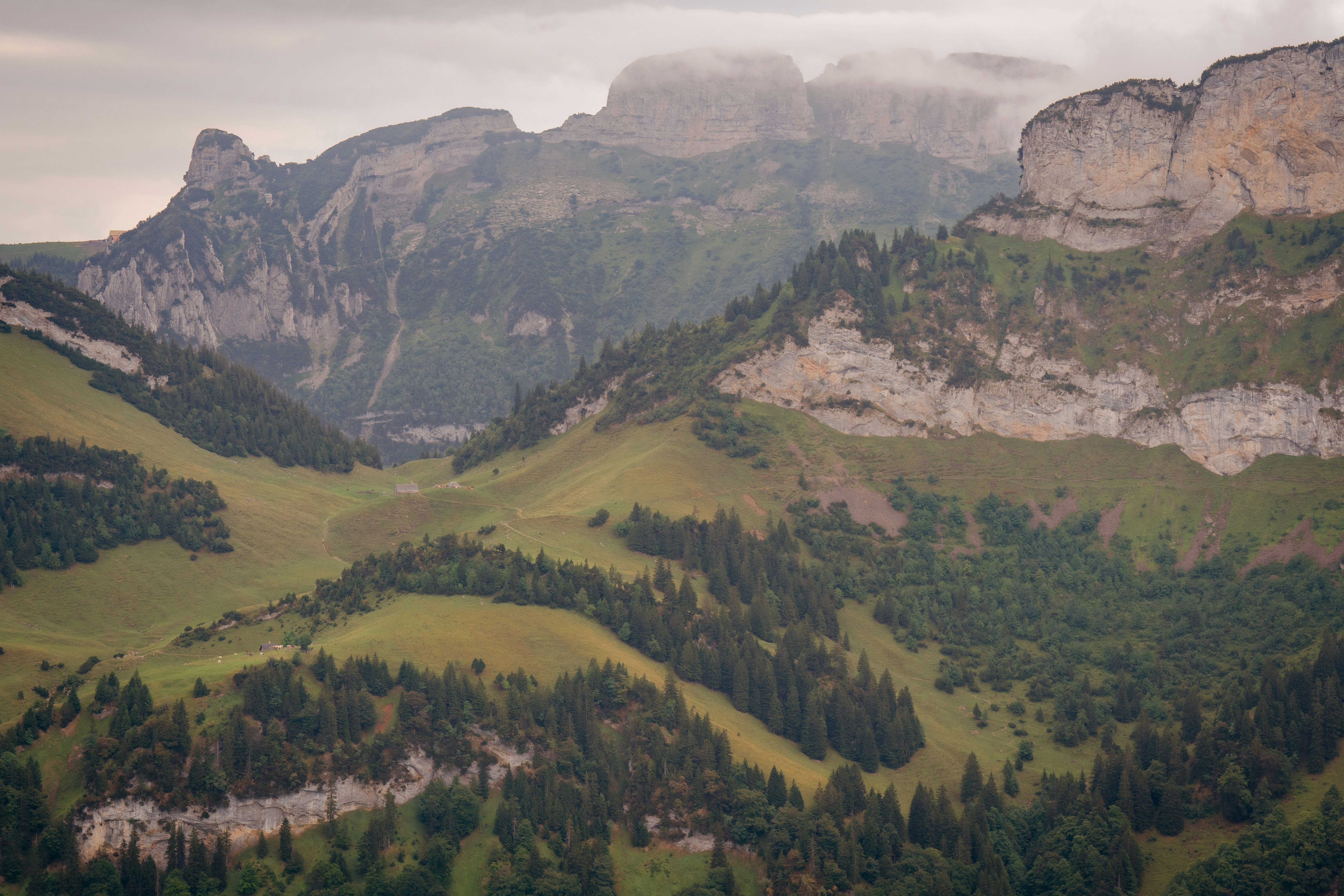 Between Peaks and Pastures: A Veiled Alpine Panorama