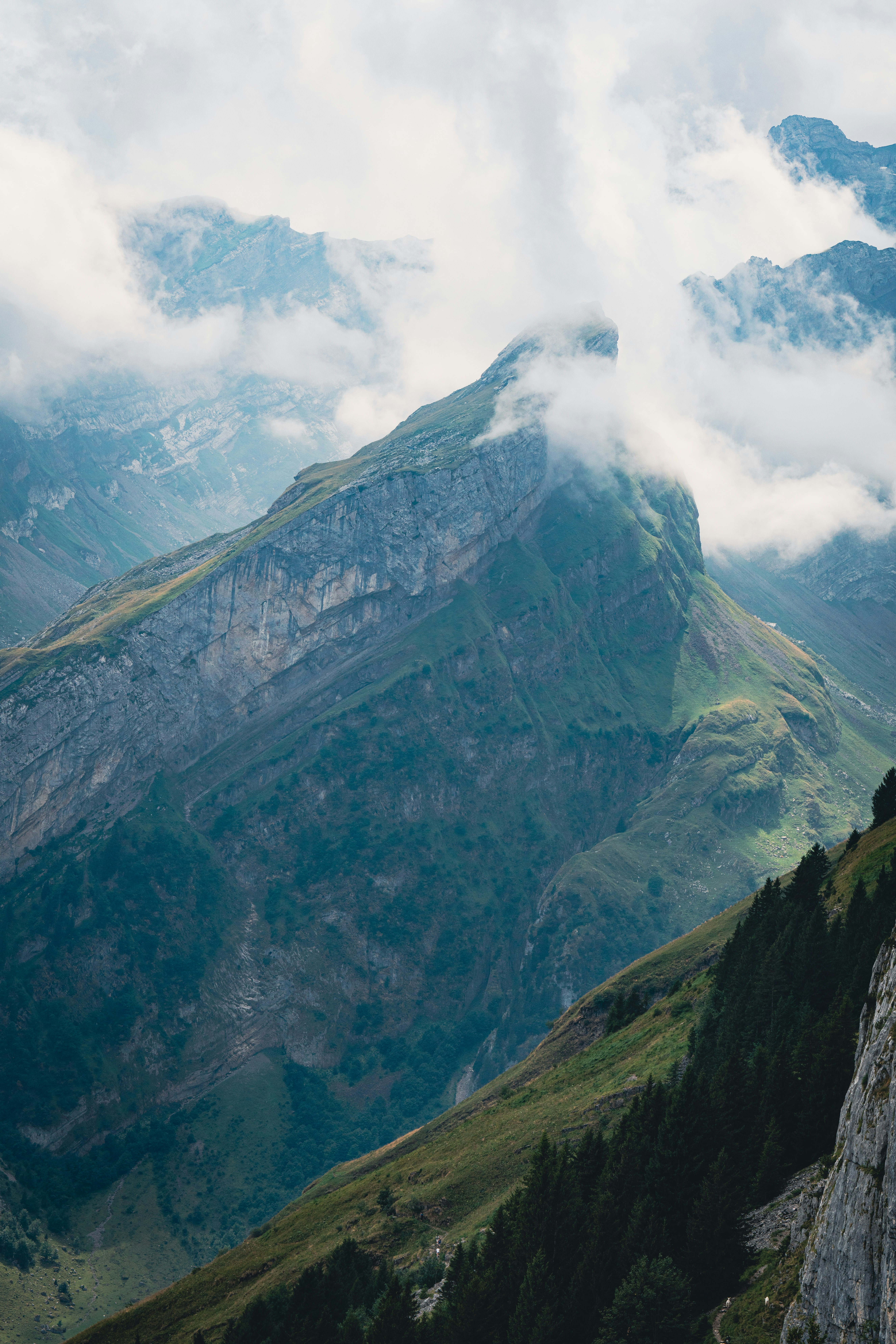 Cloud-kissed Ridge: A Valley Summit Emerging from the Mist
