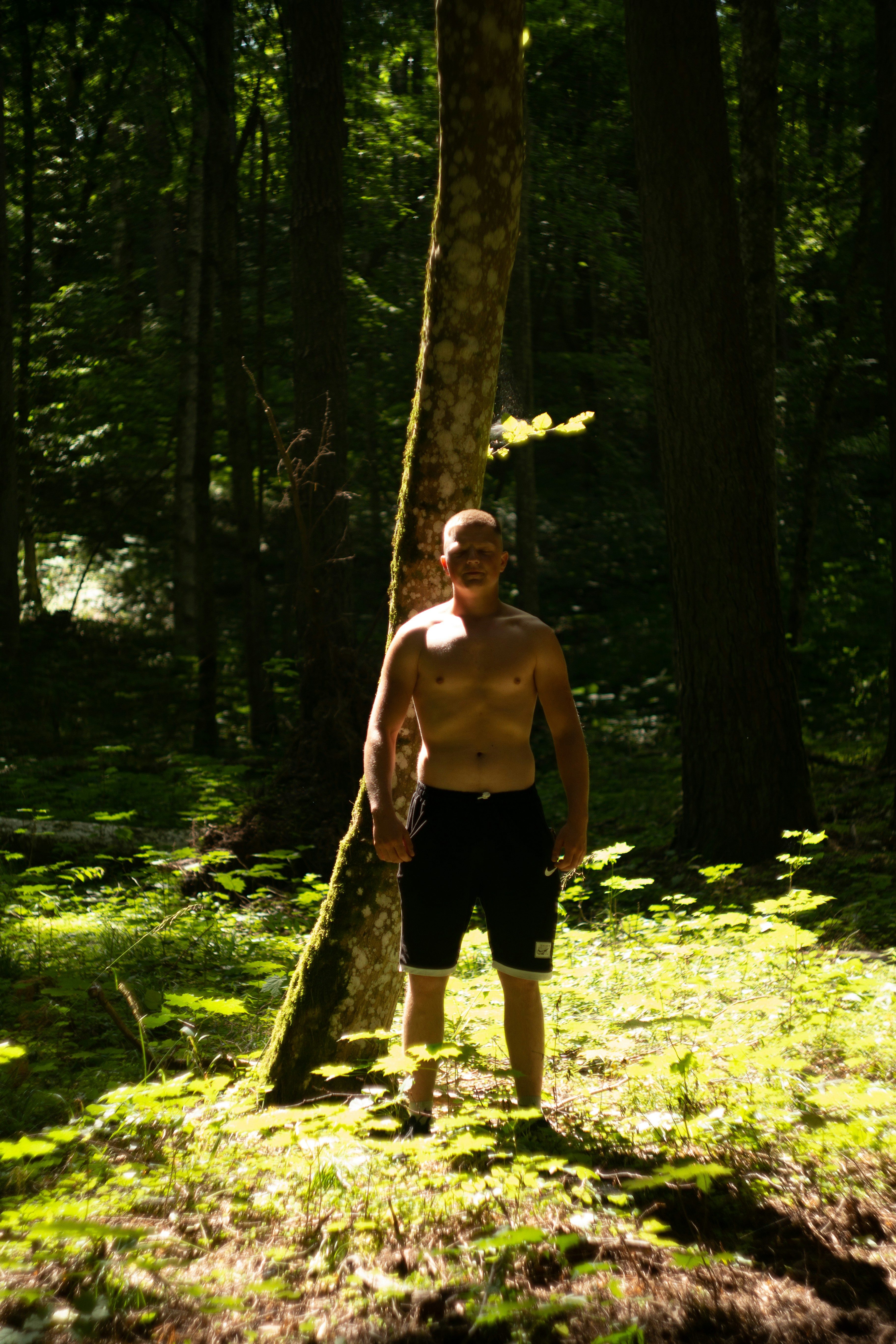 Sunlit Explorer: a shirtless man stands among mossy trunks in dappled forest light