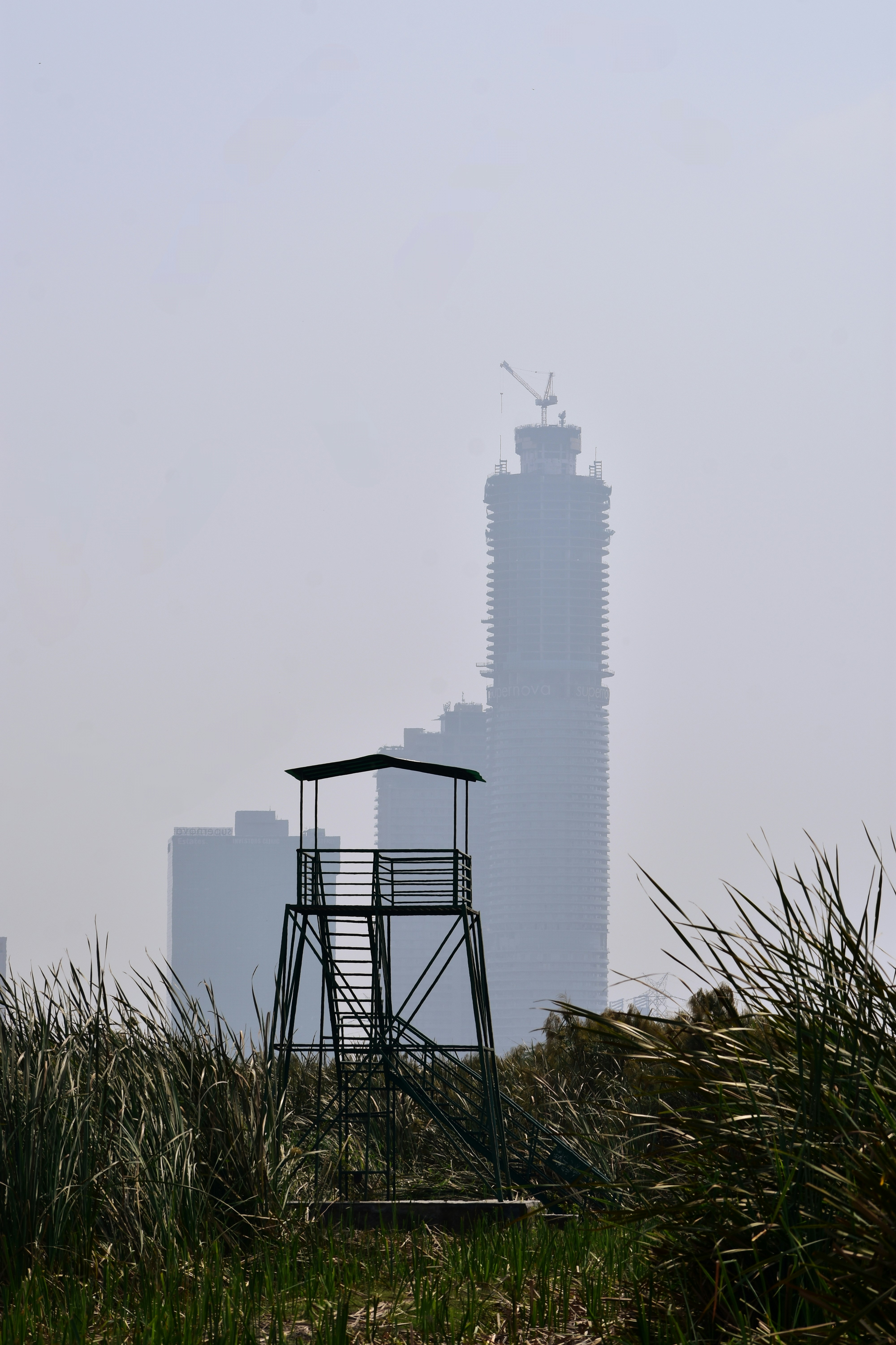 Lifeguard Watch Against a Distant Skyline