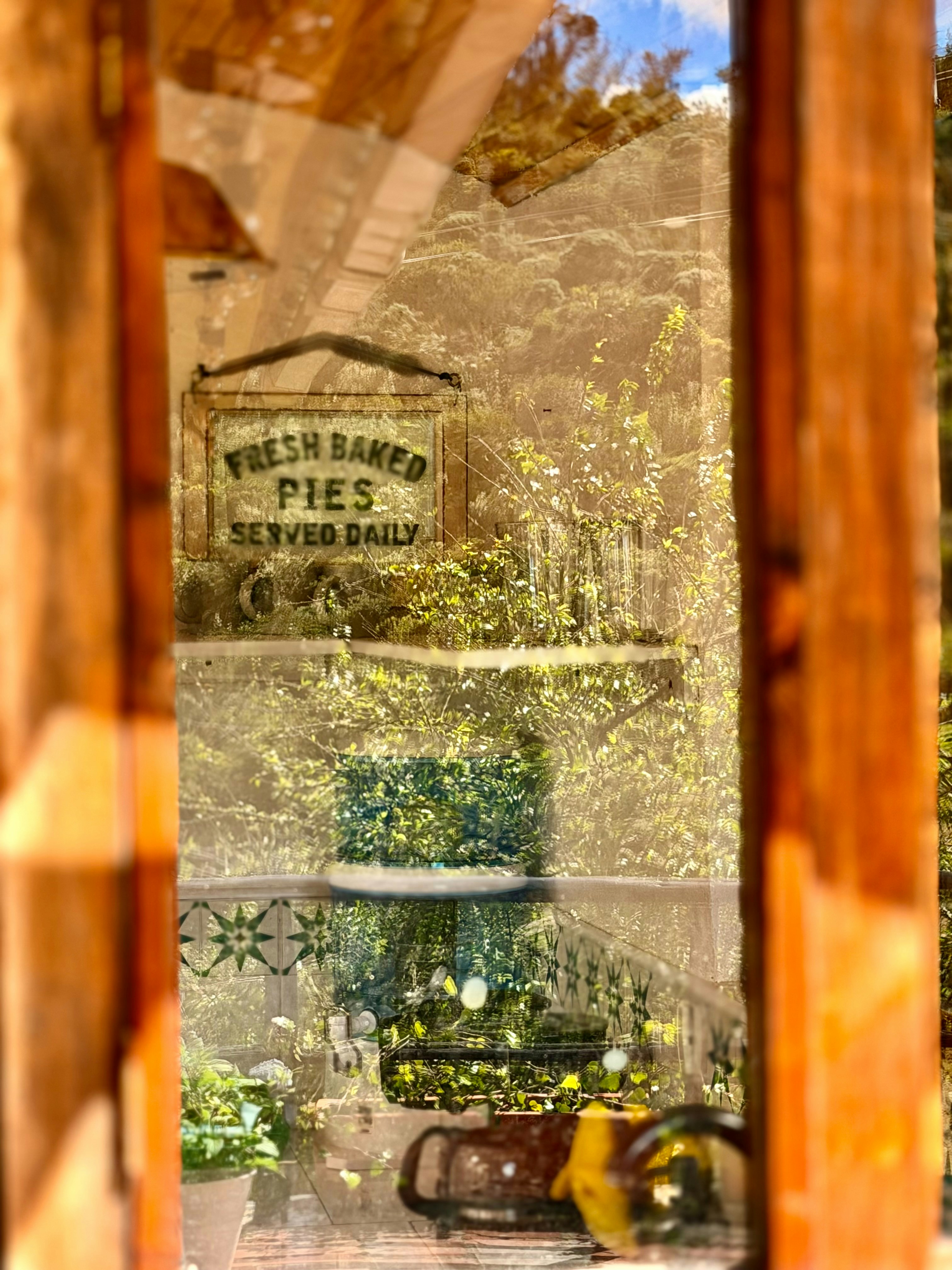 Through a Glass Door: A Pie Sign and Reflected Garden