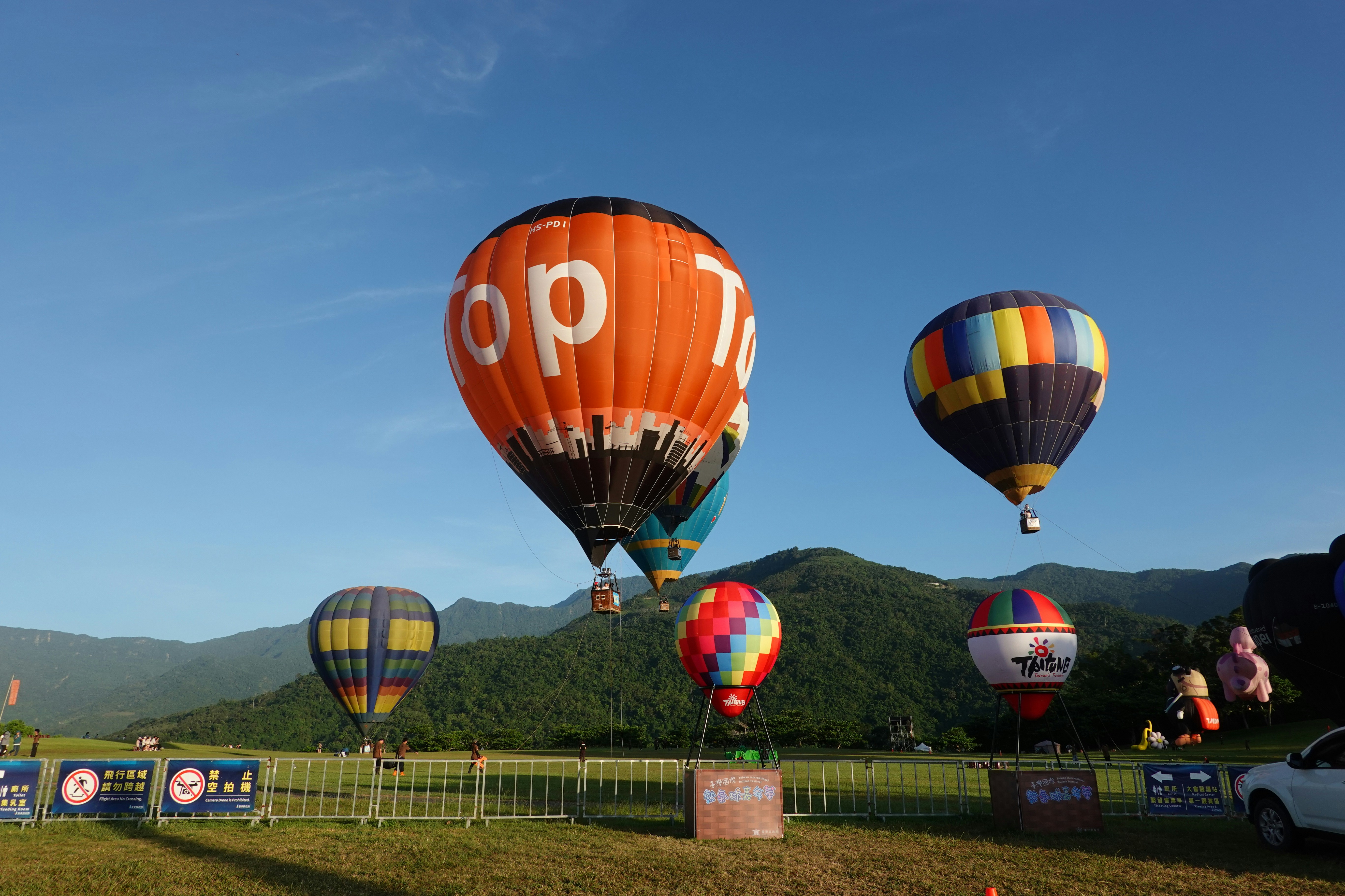Gleaming Tether: Hot Air Balloons Ascend Over a Sprawling Park