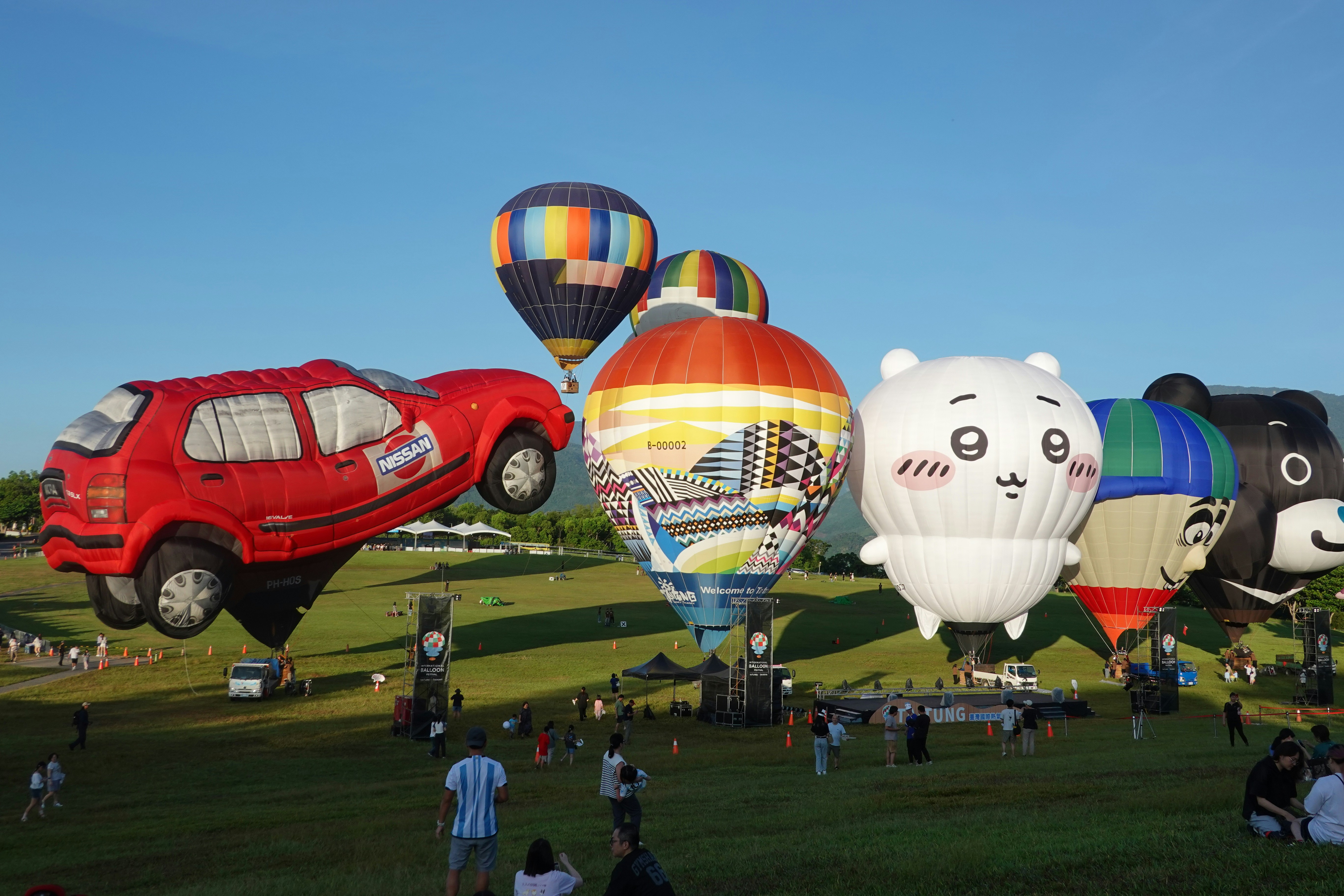 Gasps and Giggles: Hot Air Balloons Bloom Across the Field