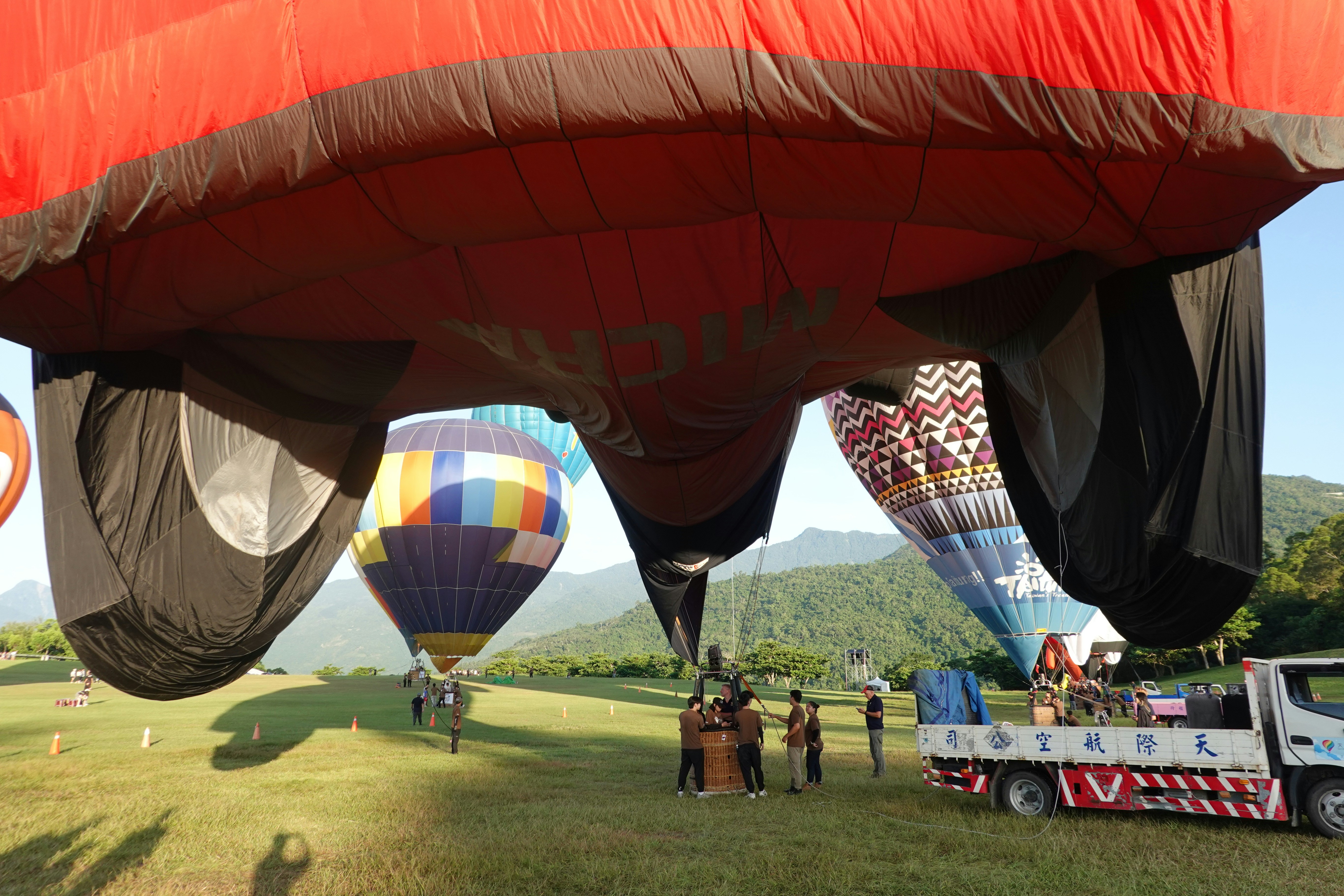 Under the Canopy of Giants: Balloons Ready for Takeoff