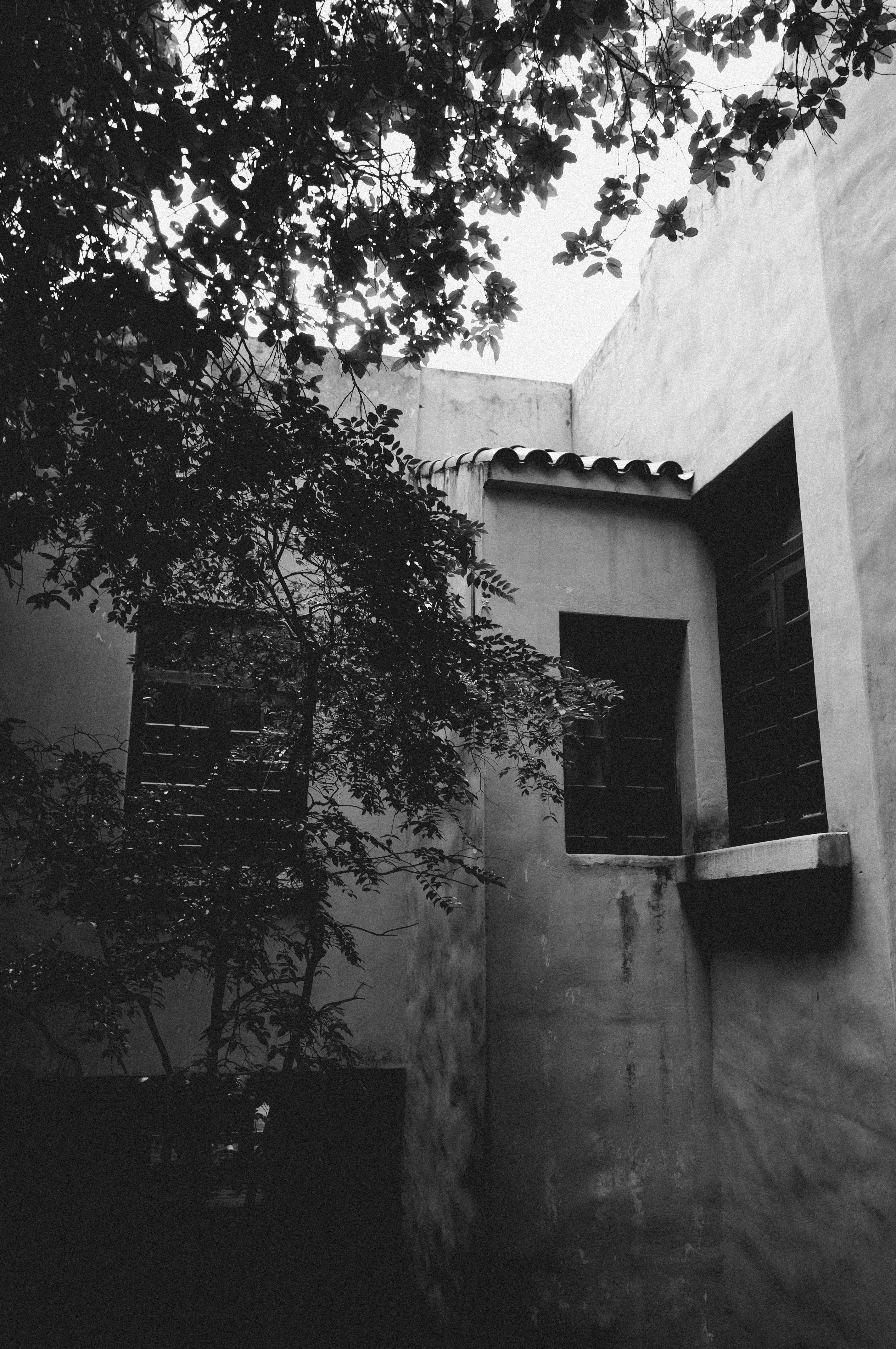 Courtyard Shadowplay: A Quiet Monochrome Block