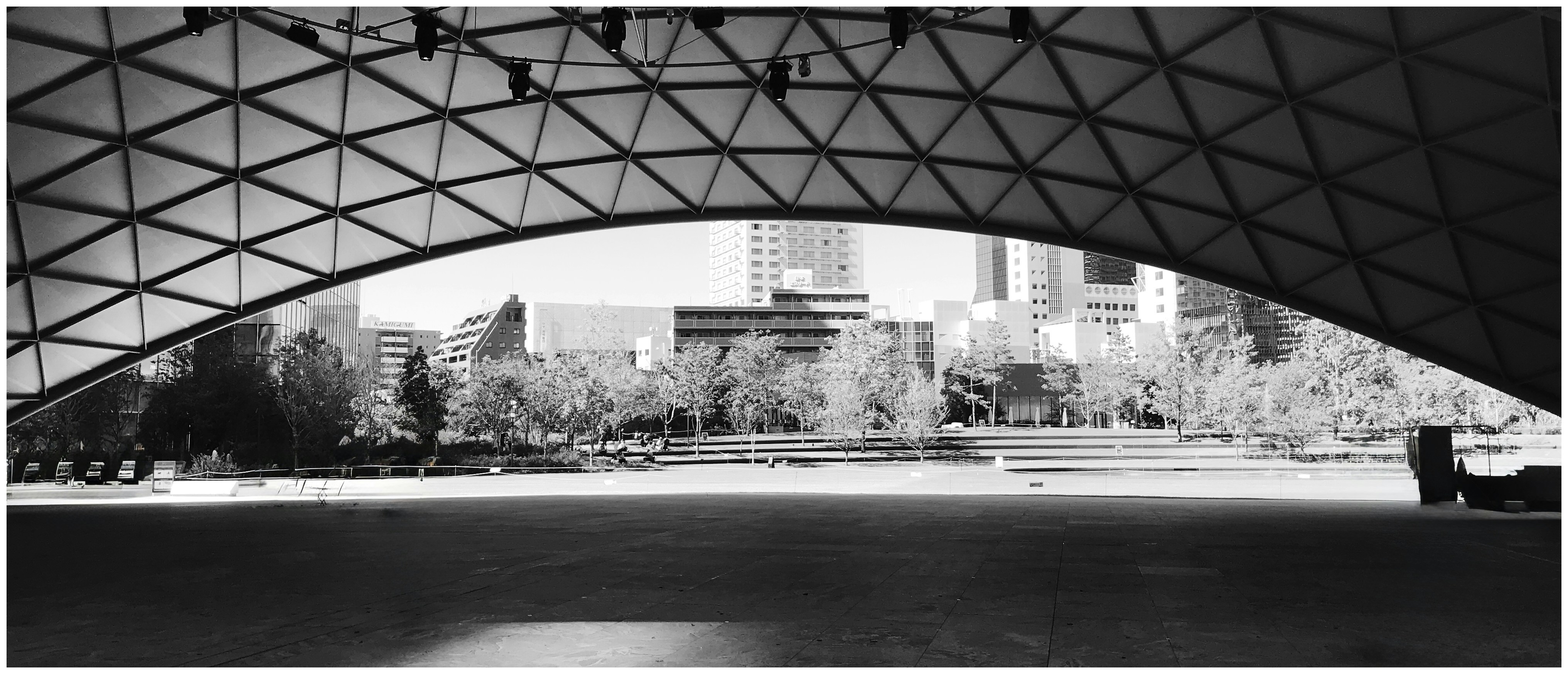Under the Arch: Urban Dunes Beyond the Curved Canopy