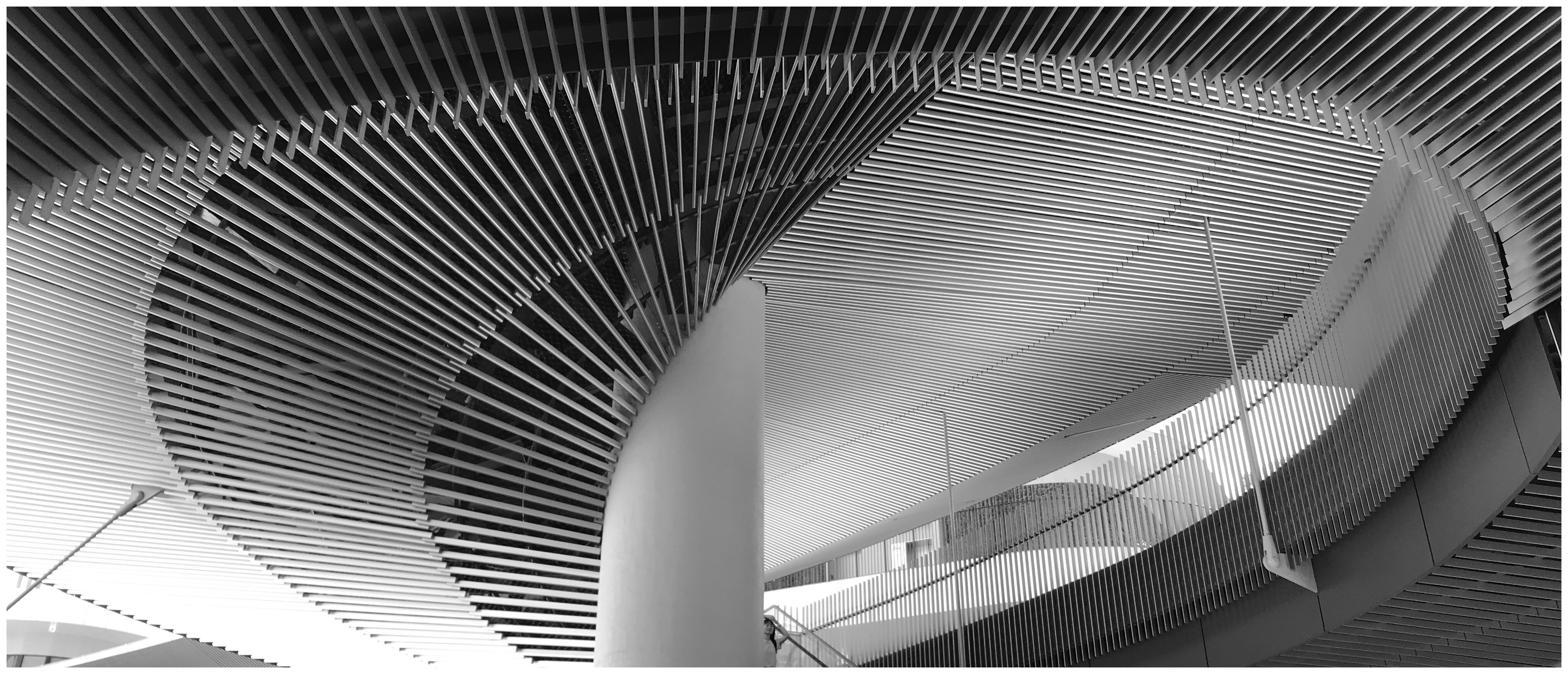 Graded Rails: A Ballet of Curves in Light and Shadow