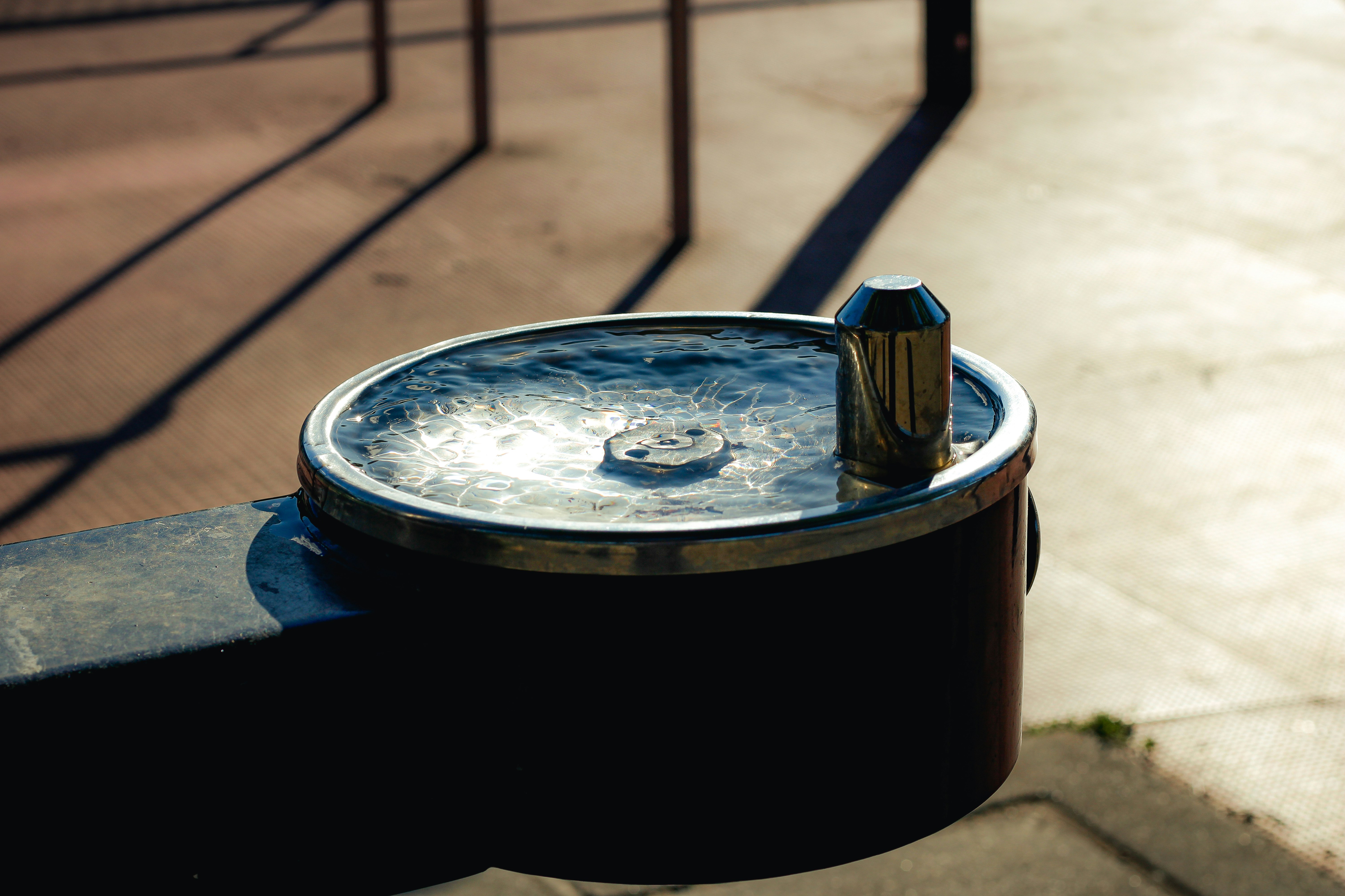 Circular Spout, Sunlit Quiet: A Park Water Fountain in Focus