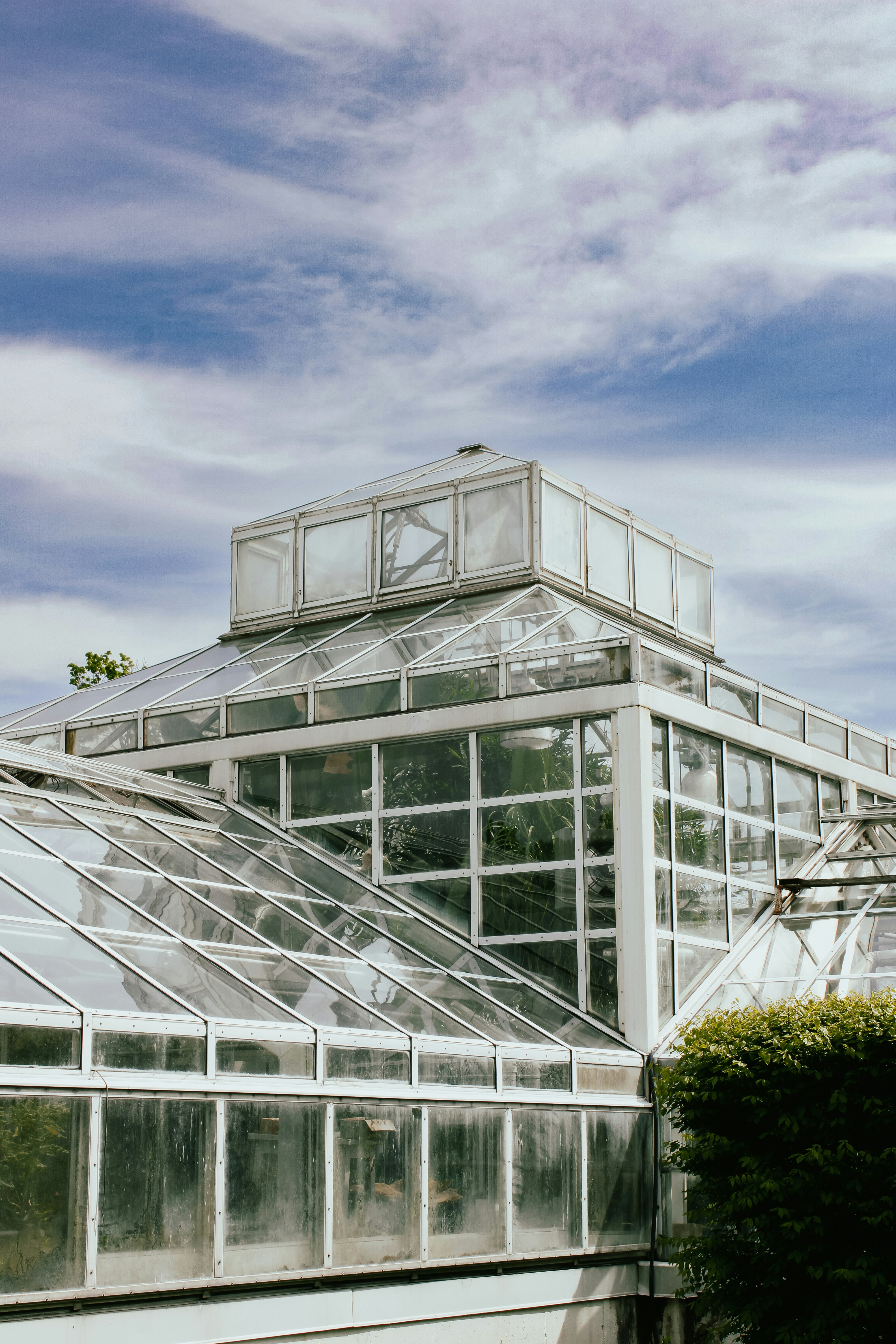 Glass Facade Ballet: A Modern Greenhouse Under a Cerulean Sky
