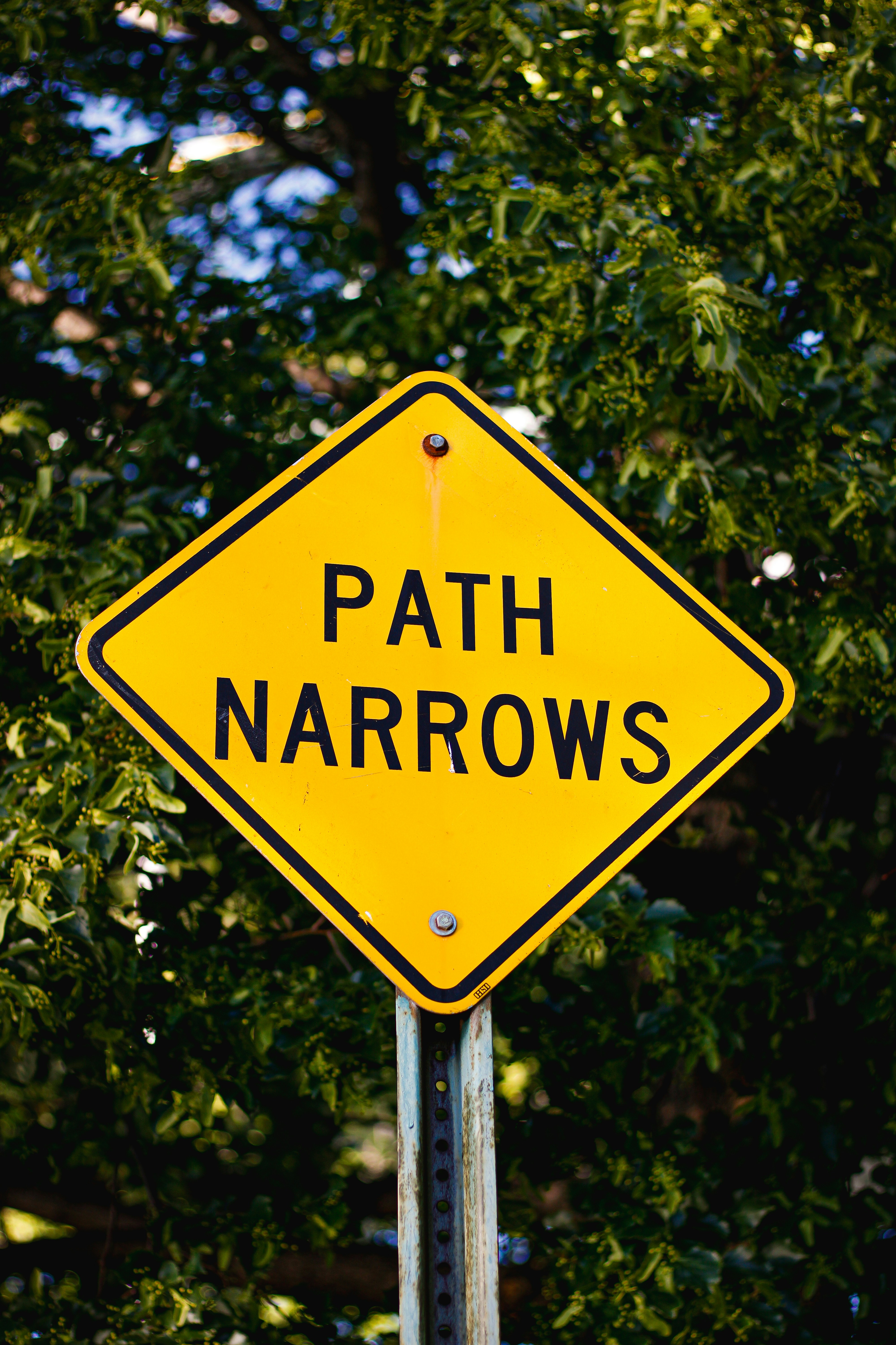 Yellow Path Narrows Sign Against Lush Backdrop