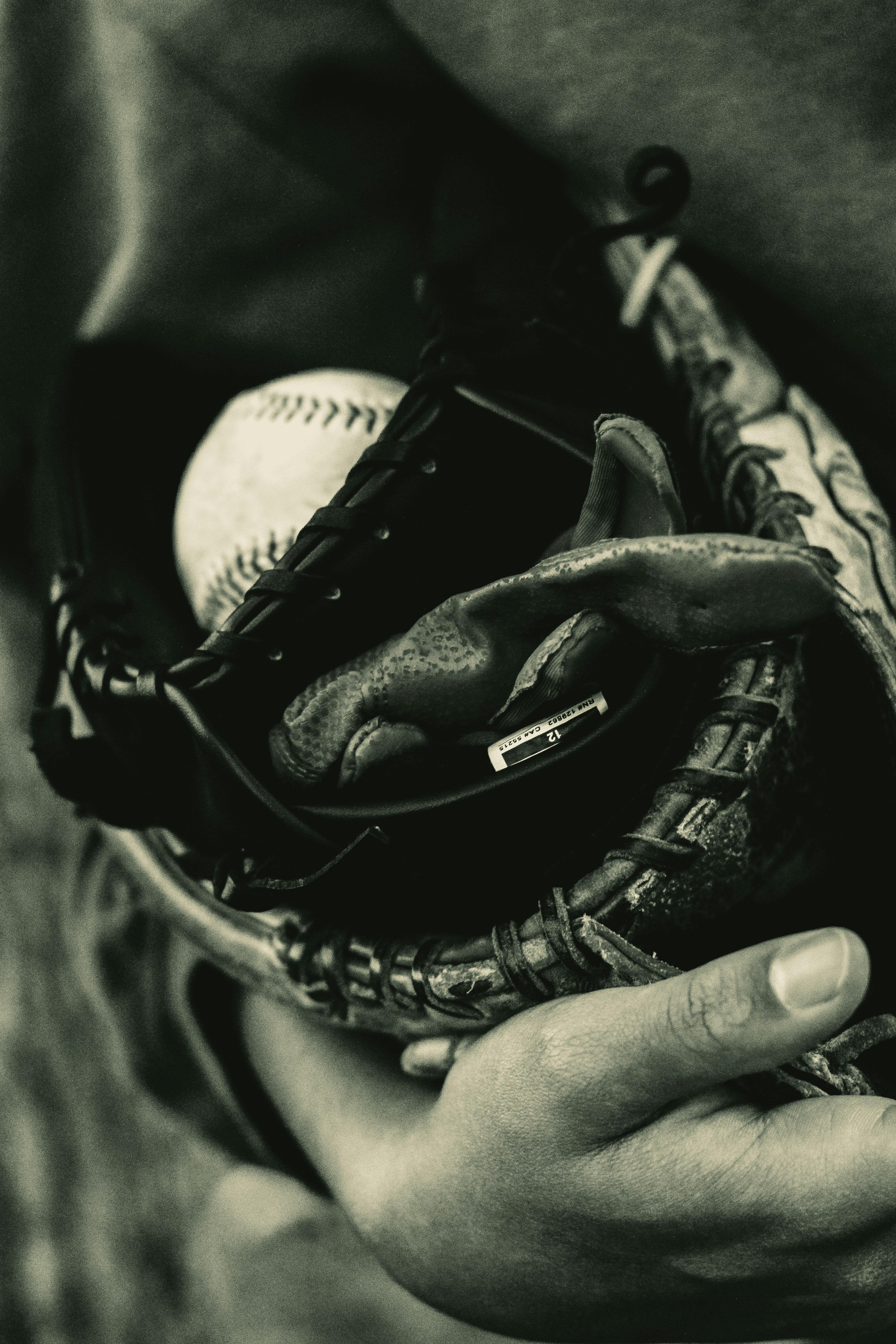 Glove and Ball: Quiet Moment in a Catcher's Grip