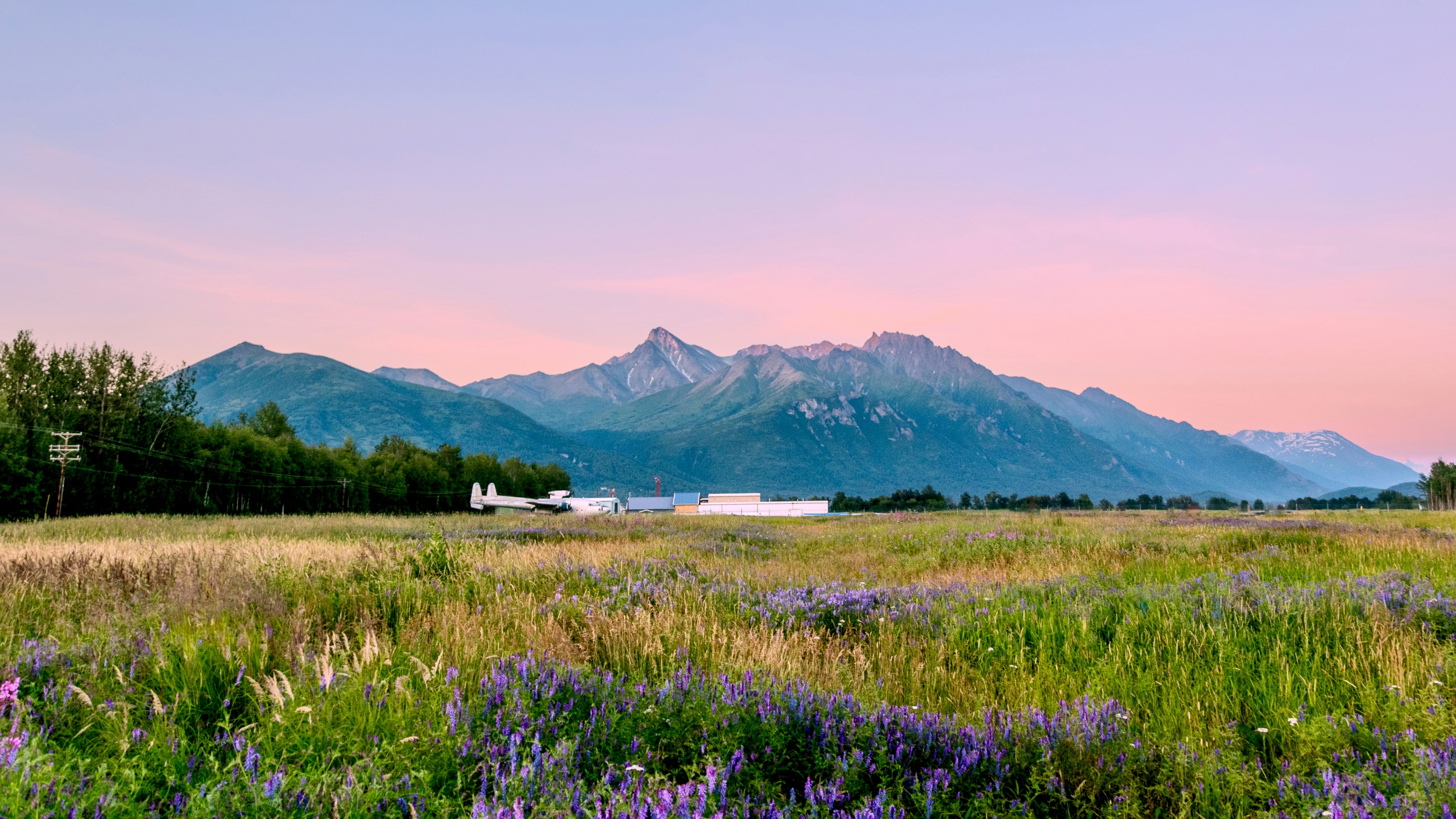 Lavender Meadow Under Mountain Dawn