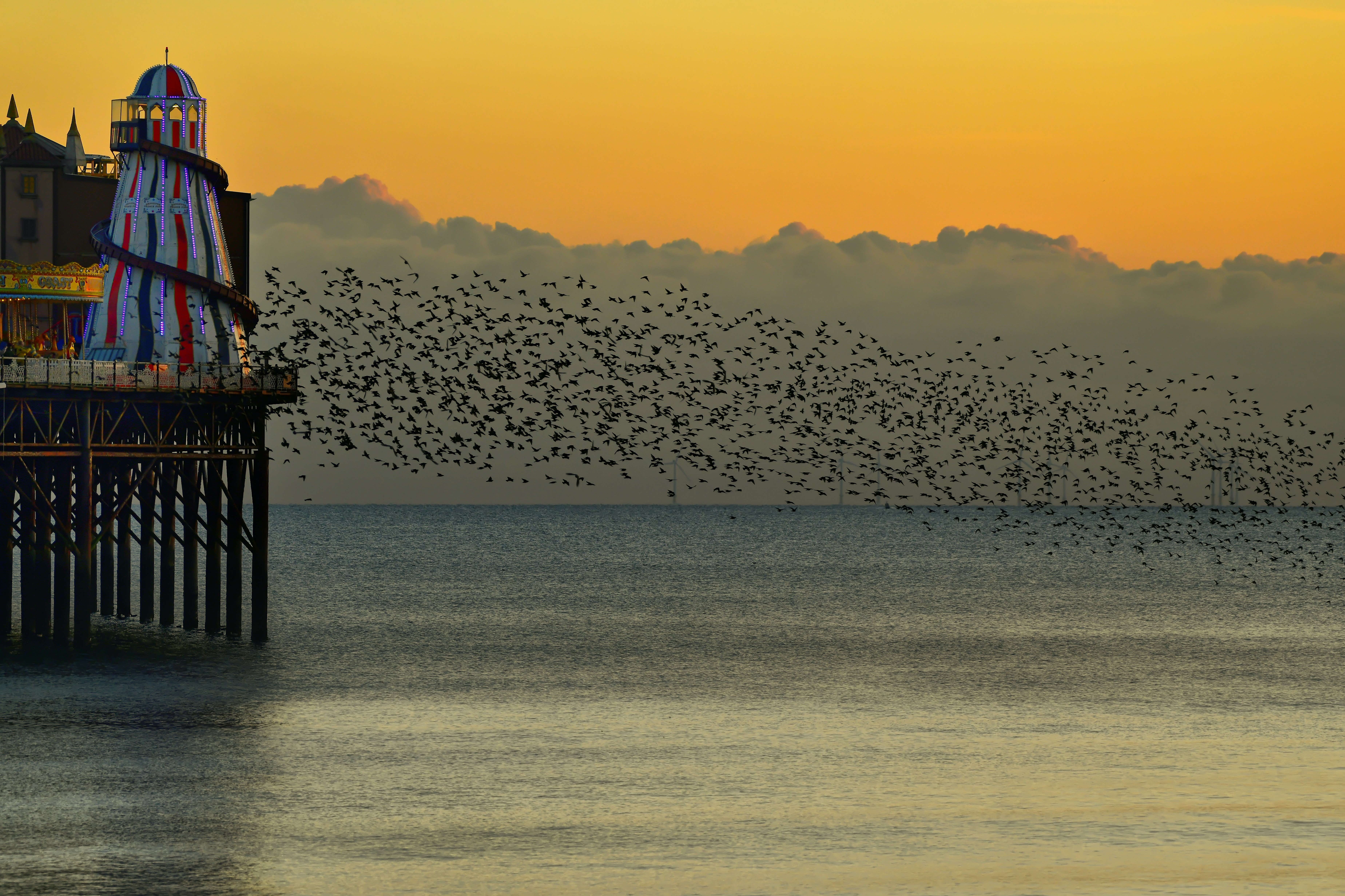 Sunlit Pier and Flock: A Distant Sea of Wings at Dusk