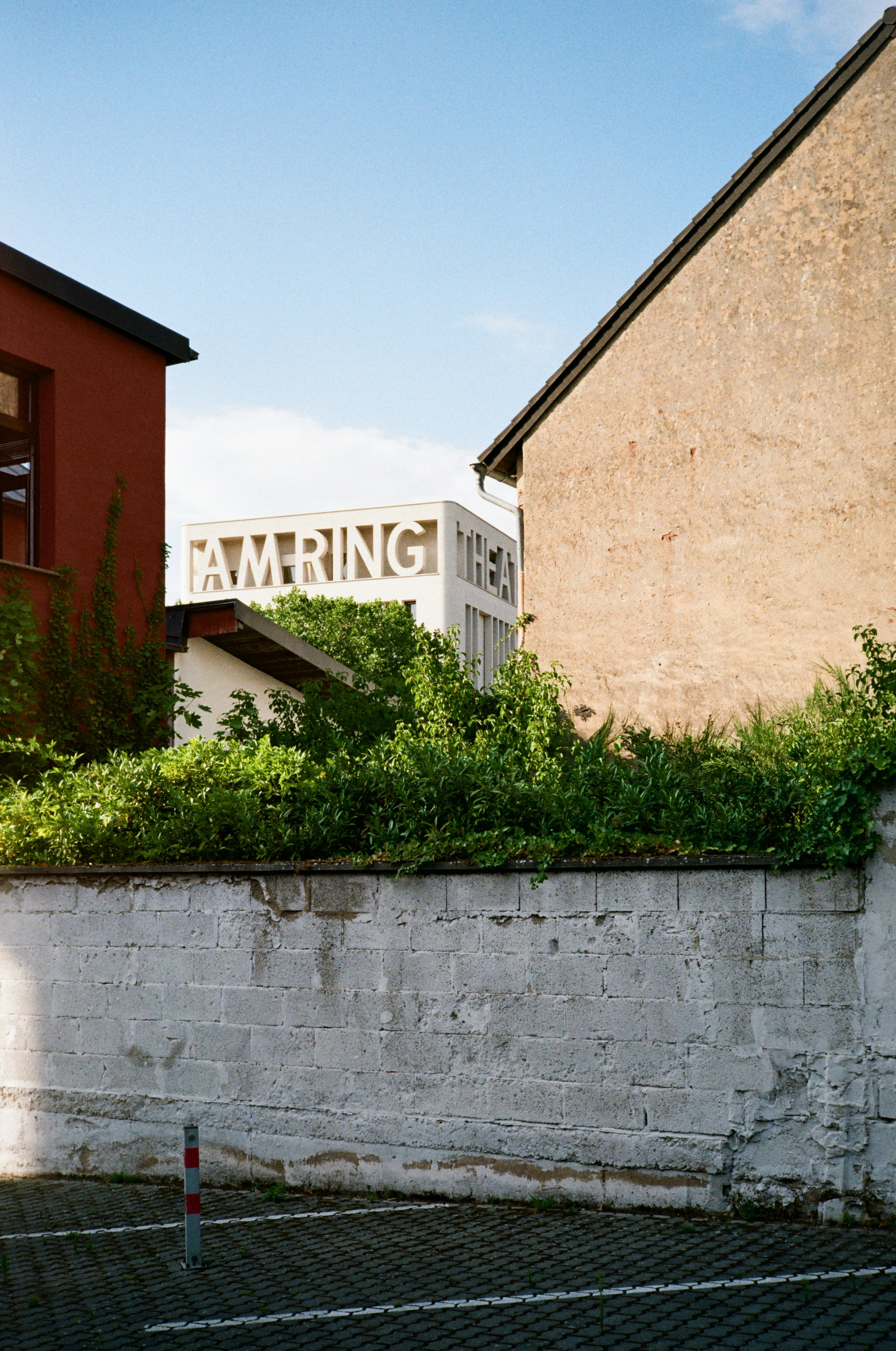 Sunlit urban scene with a weathered wall, dense greenery, and a partially visible theater sign peeking over the hedge.