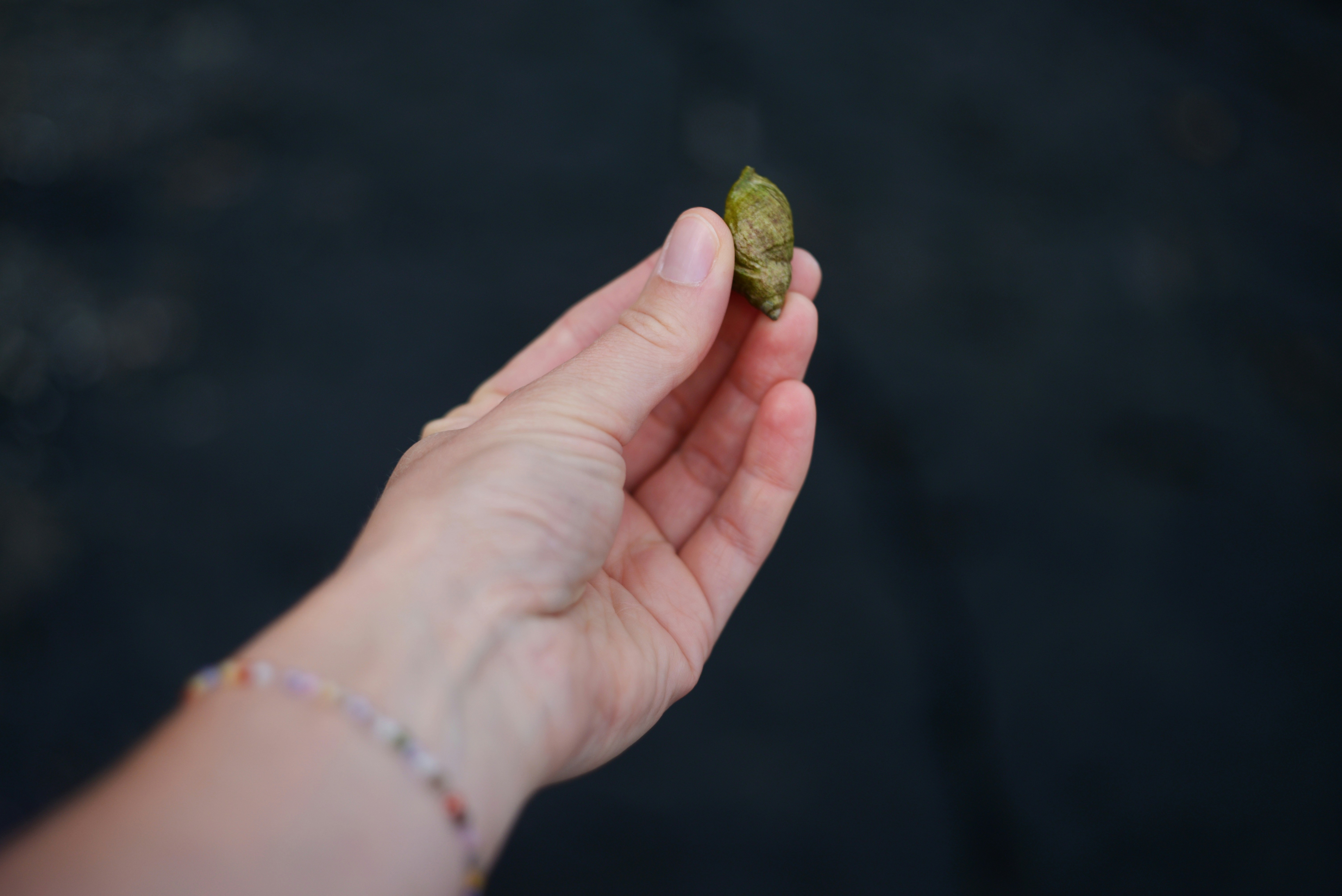 Small Stone, Gentle Gesture: A Handful of Focus