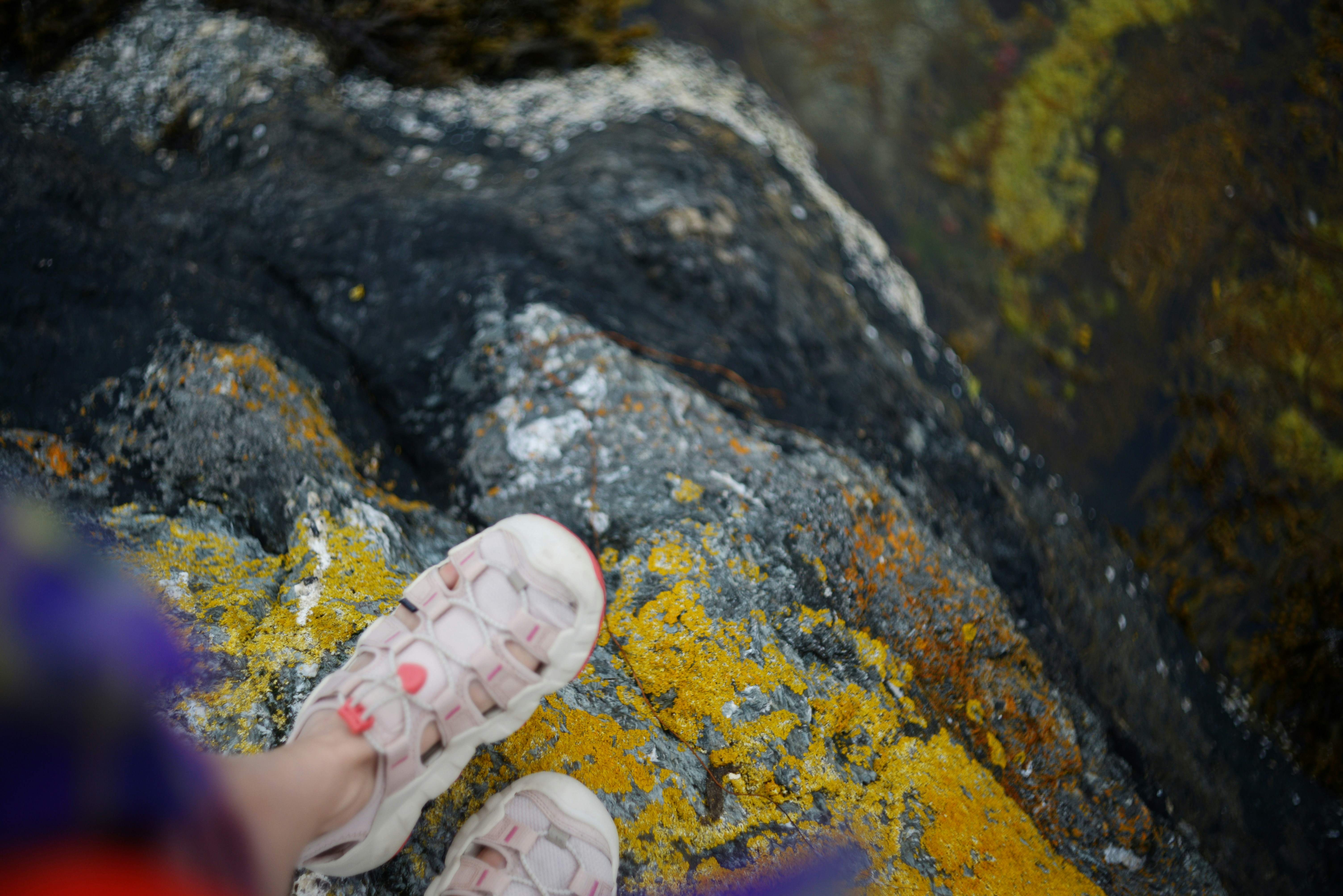 Feet First on Autumn Moss