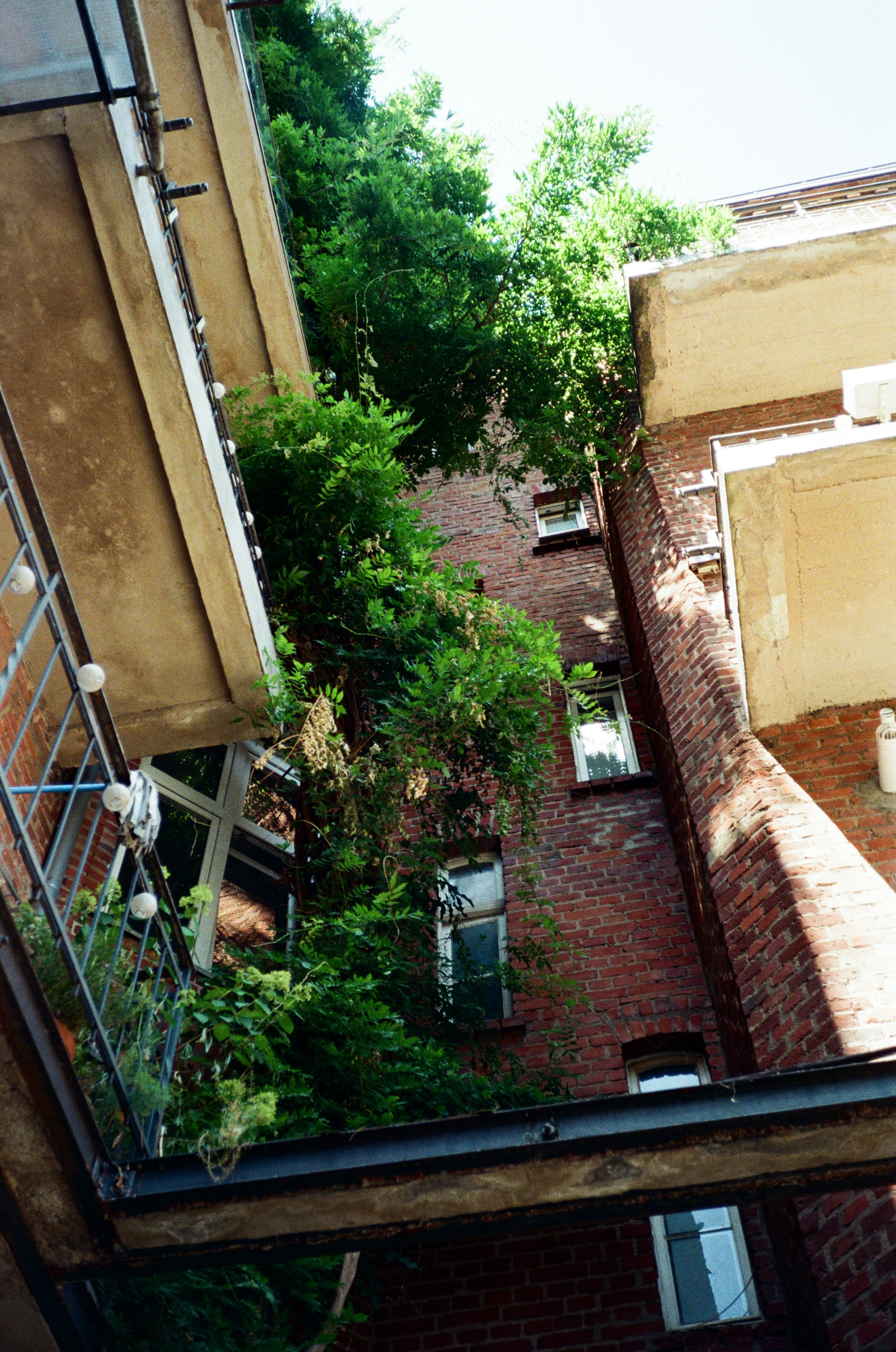 Shot on Kodak UltraMax 400