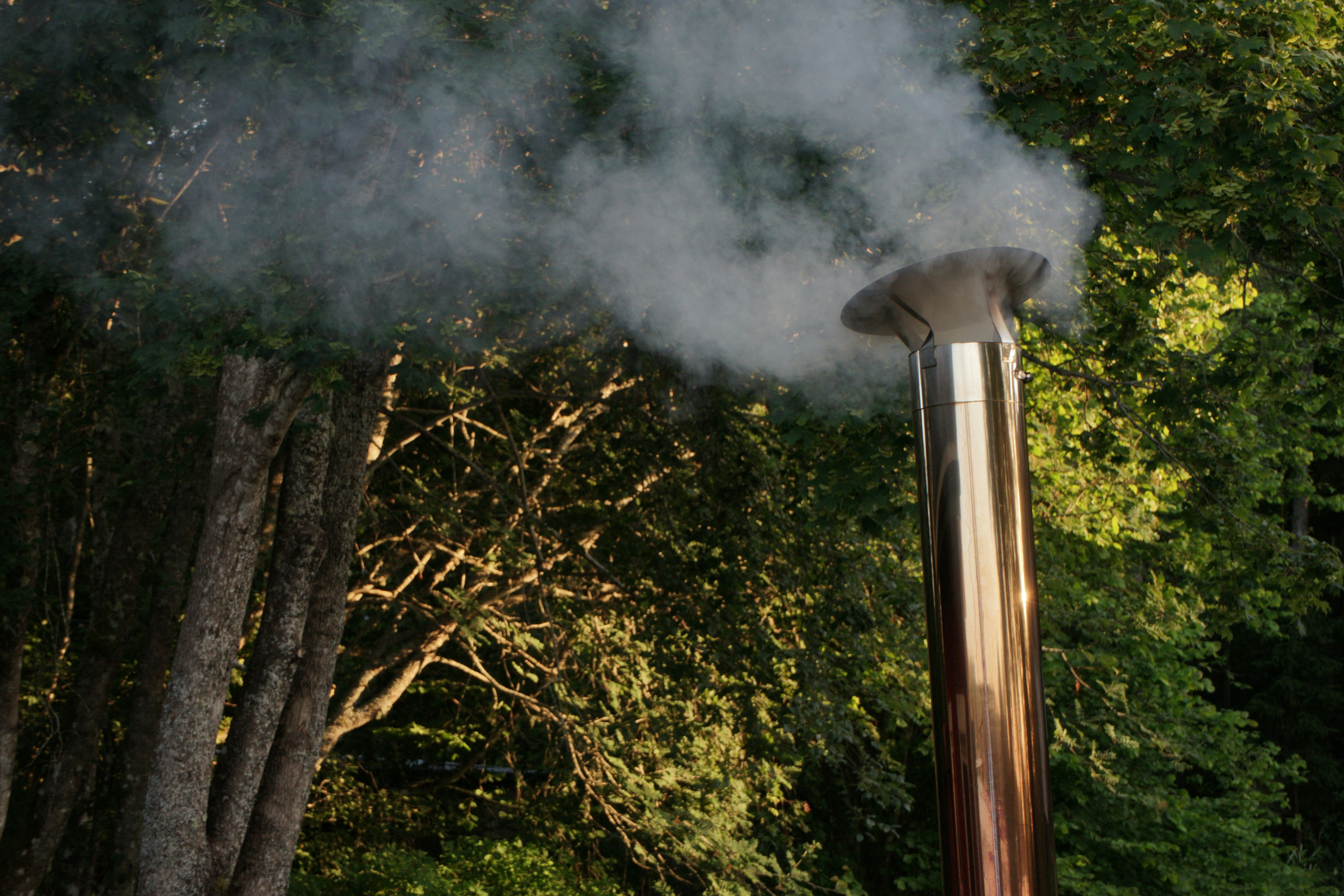Vapor Threads: A Steam-Driven Chimney Reaching Through Green Canopy