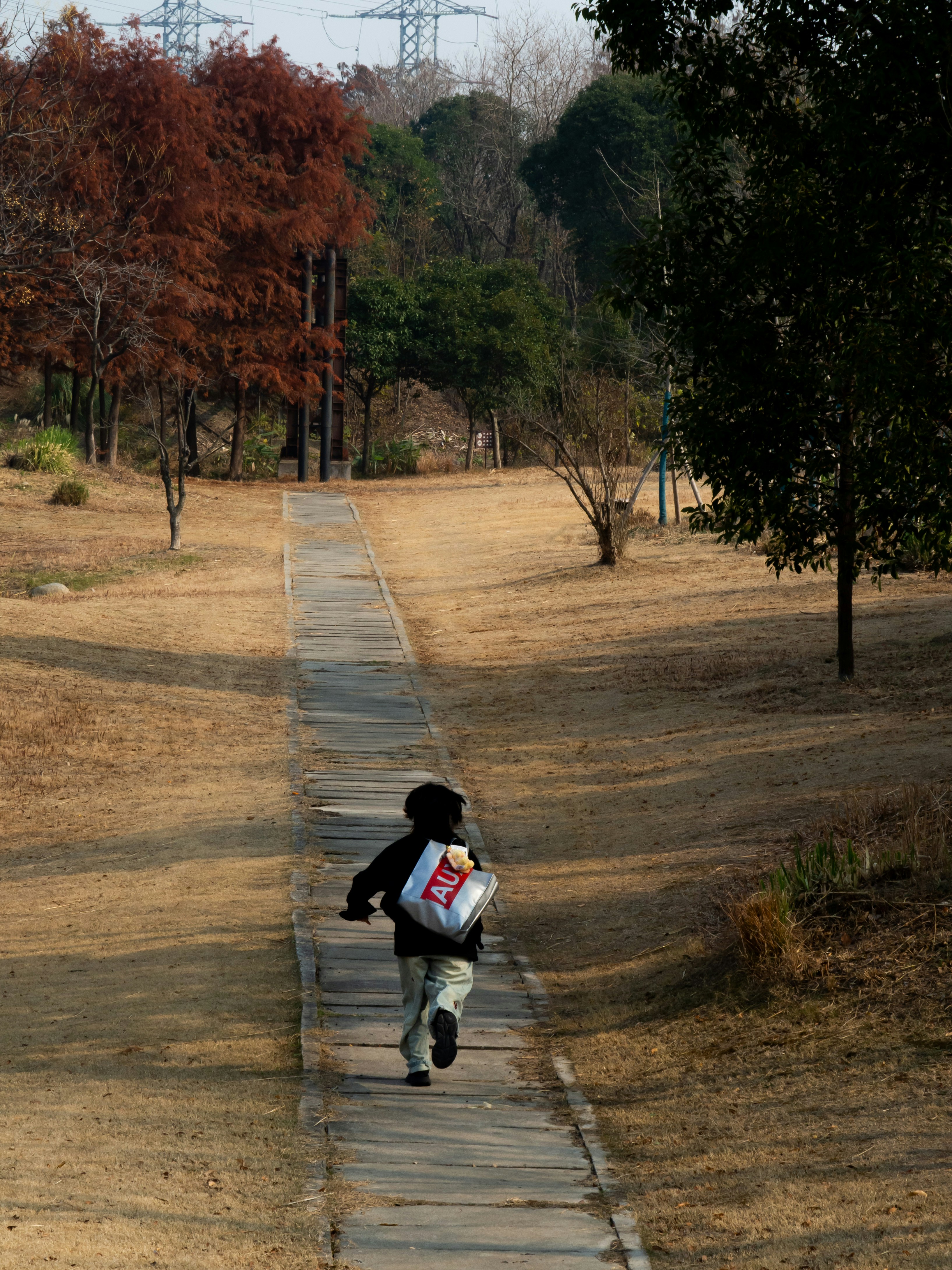 Stride Through Autumn Quiet: A Child in Motion on a Path