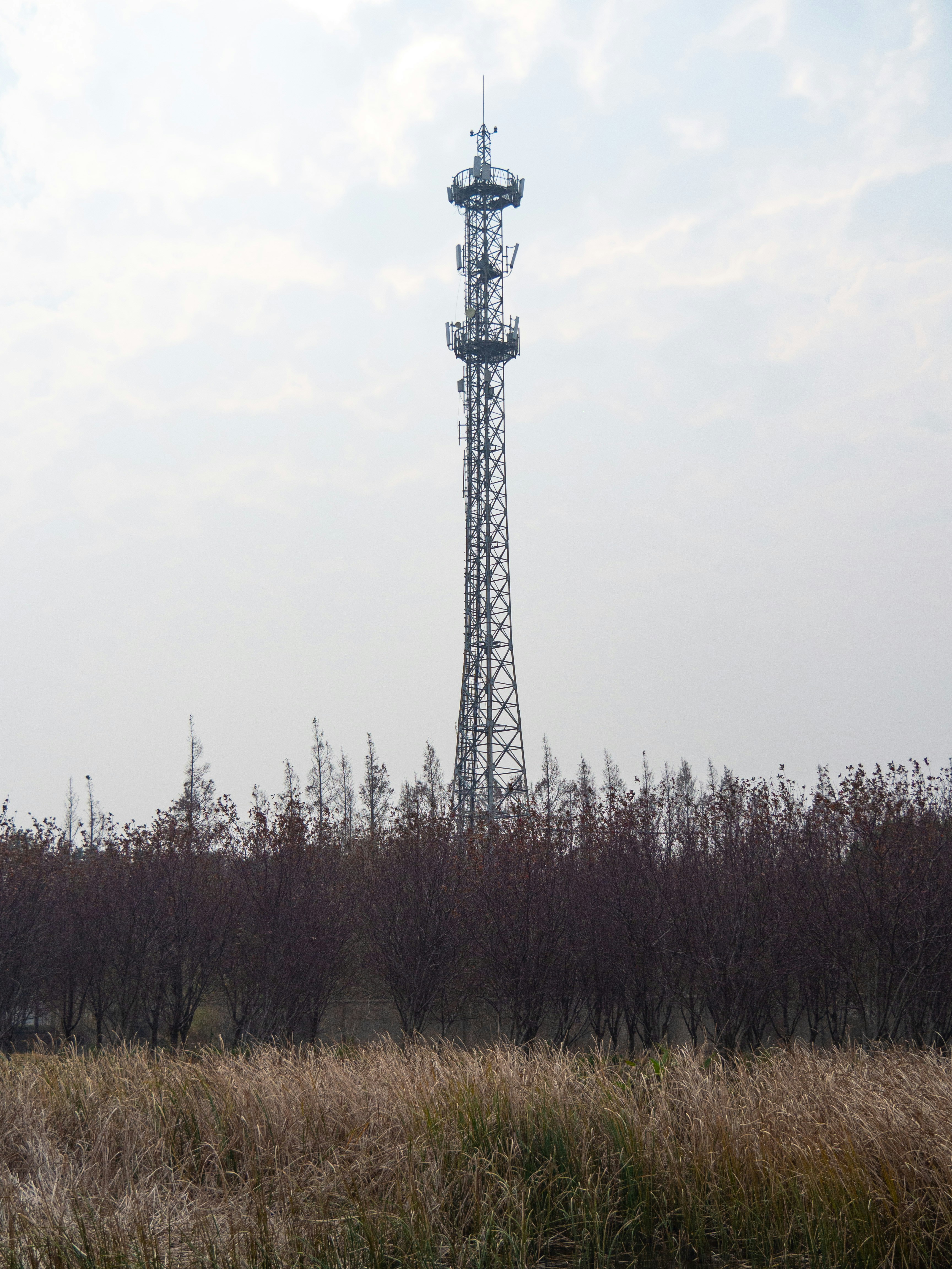 Signal Tower on the Horizon: Quiet Field, Steel Lattice Against the Sky