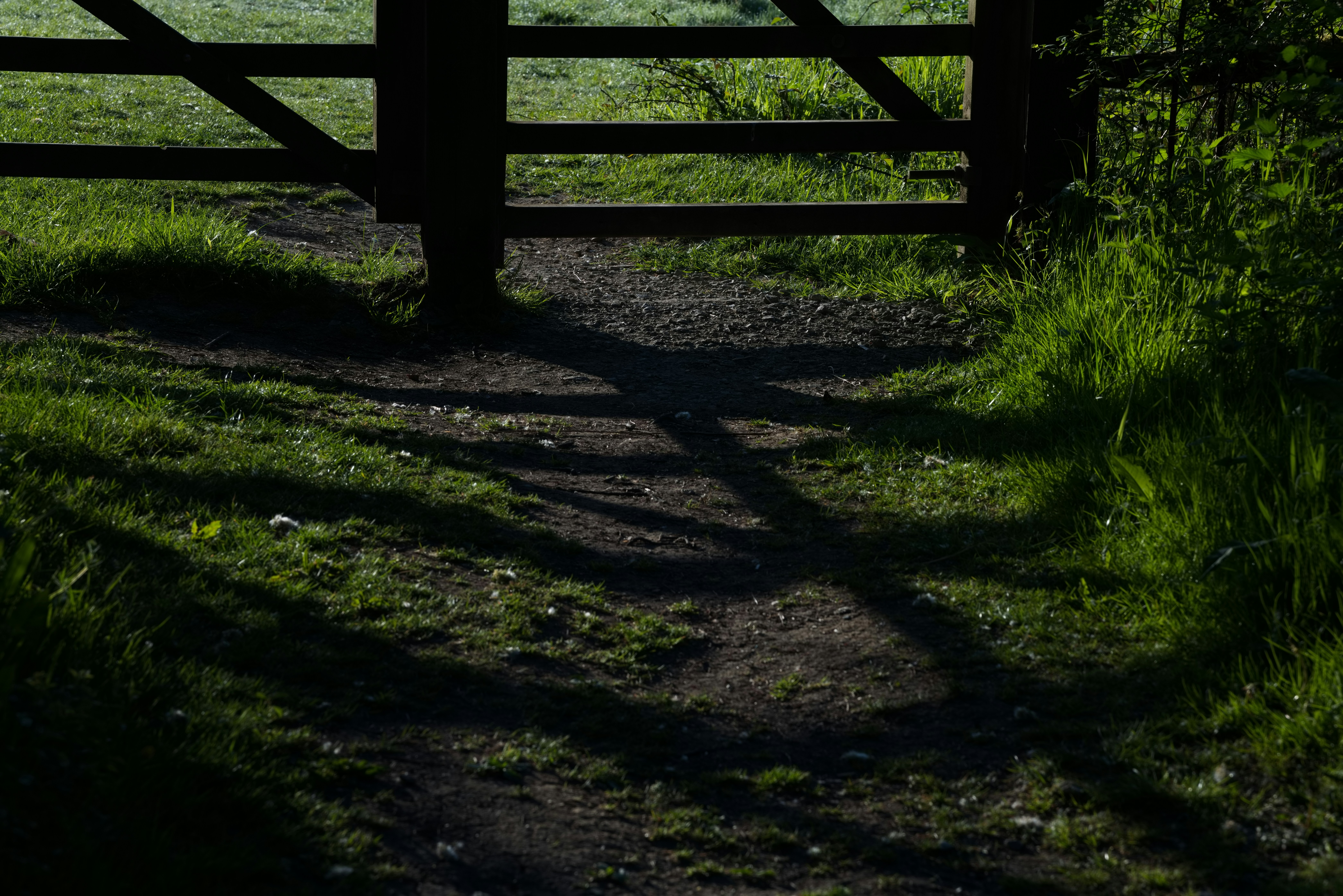 Shadow Gate: A Tranquil Path Through Dappled Light