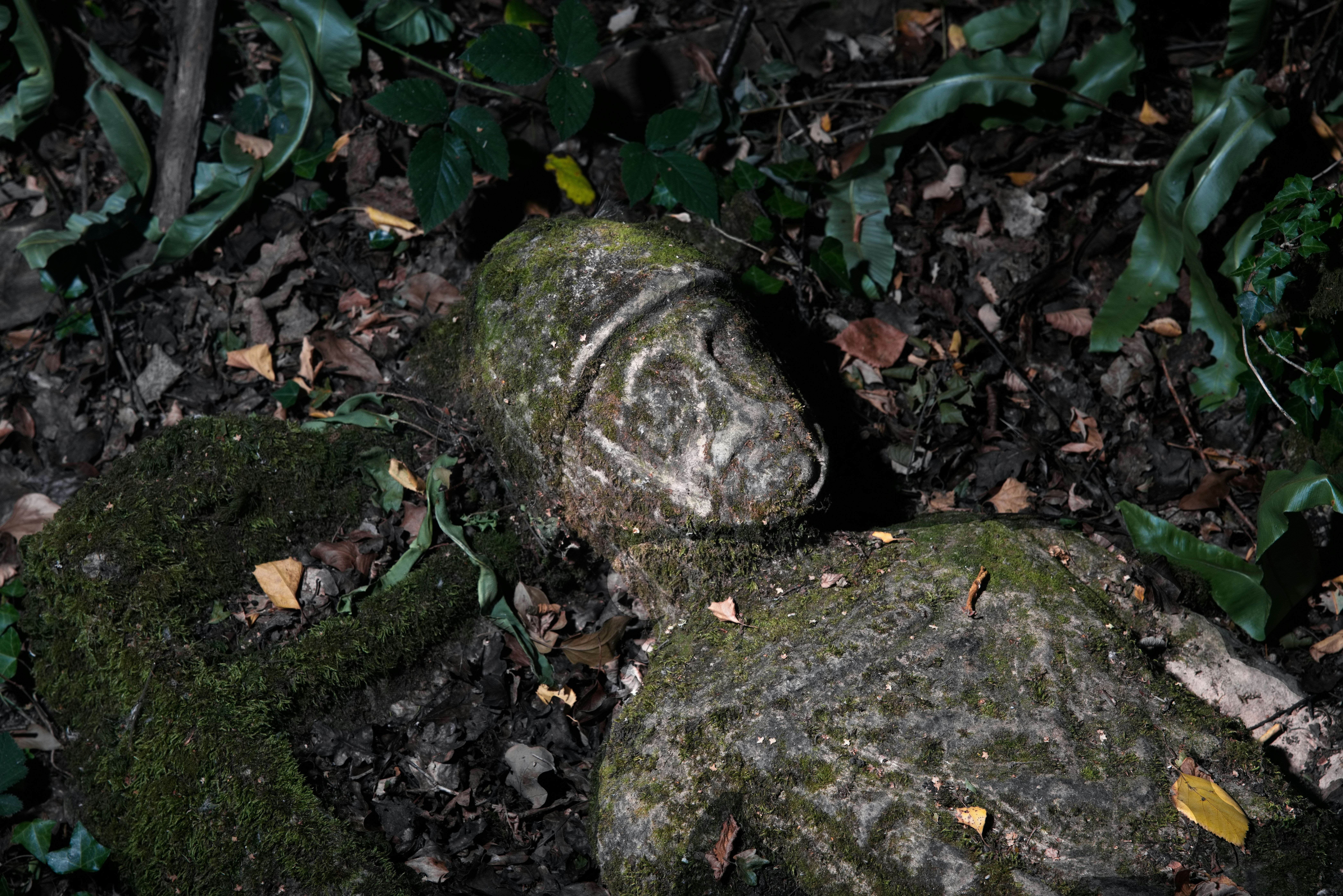 Mossy Stone Face Emerges from the Garden Bed