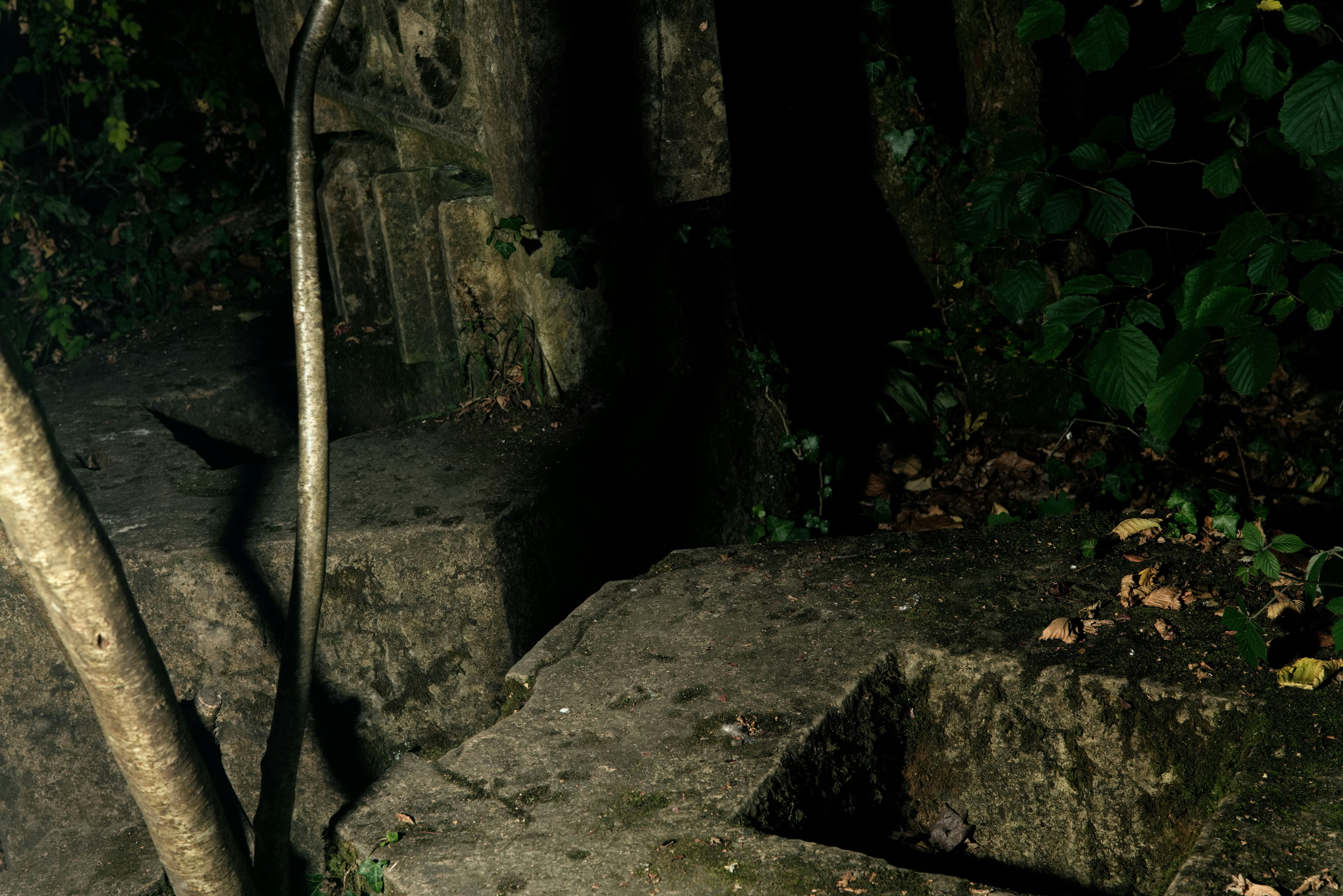 Moonlit Steps in a Quiet Stone Courtyard
