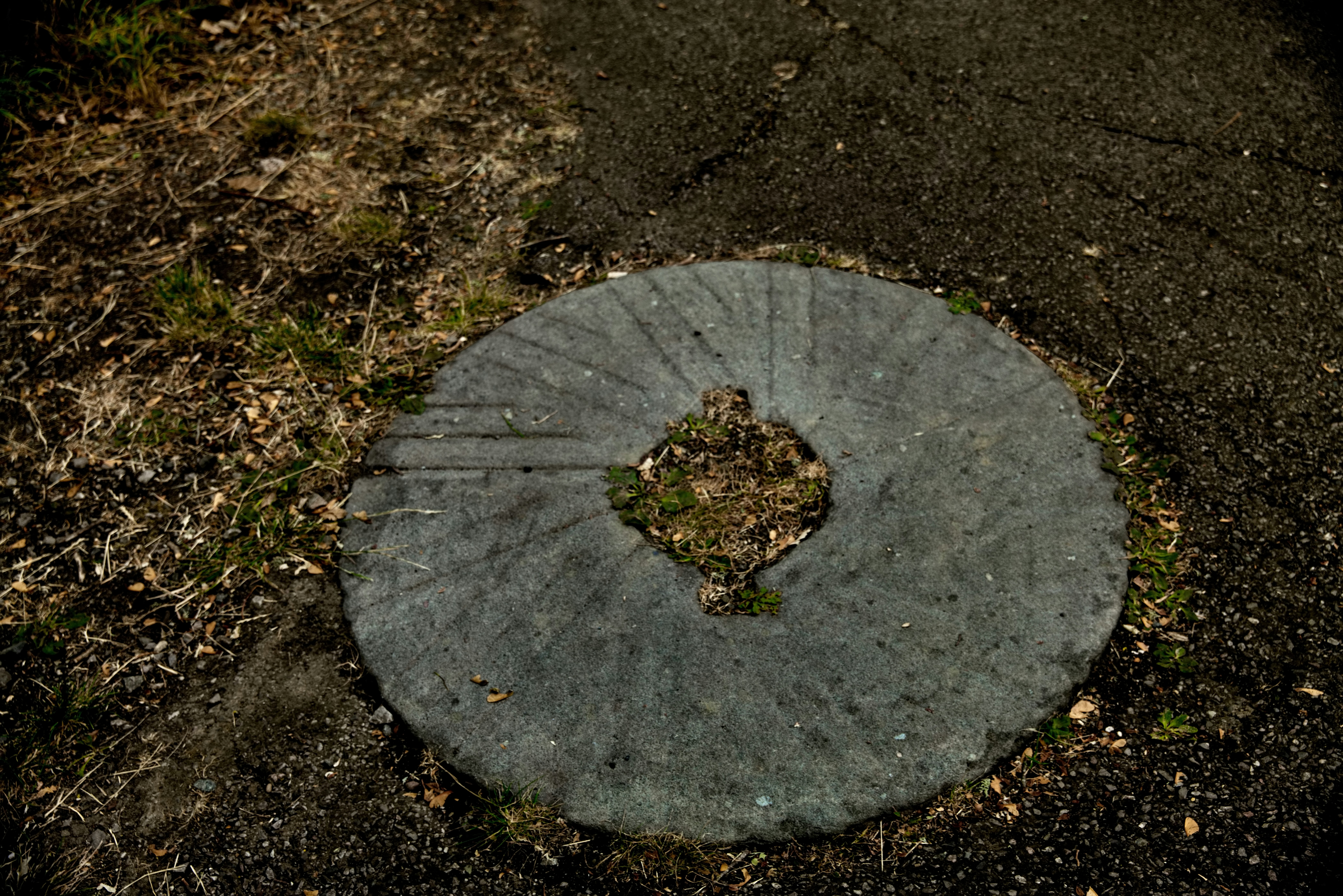 Weathered Stone Wheel in Overgrown Pavement