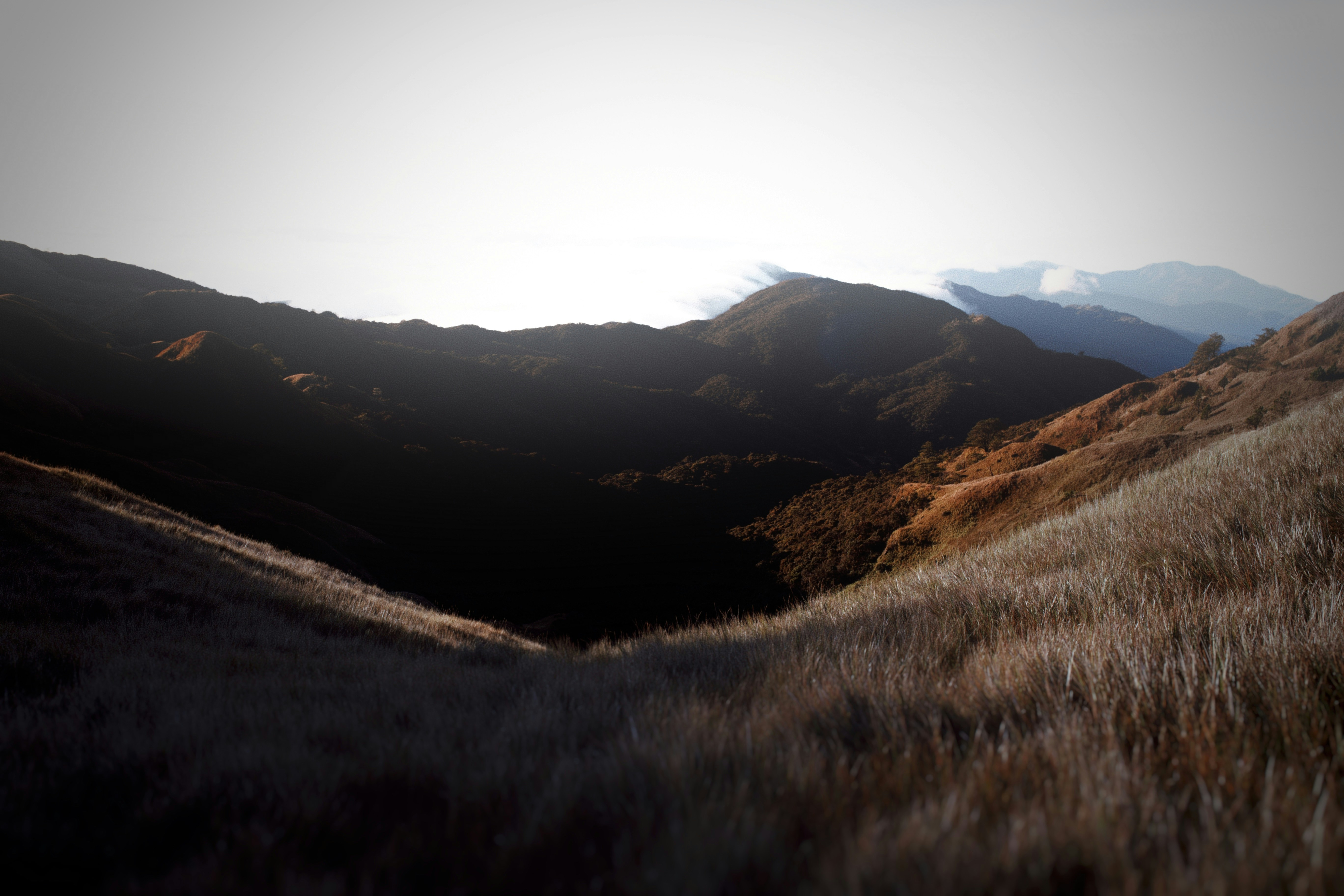 A Quiet Rim: Golden Hillside Beneath a Hazy Horizon