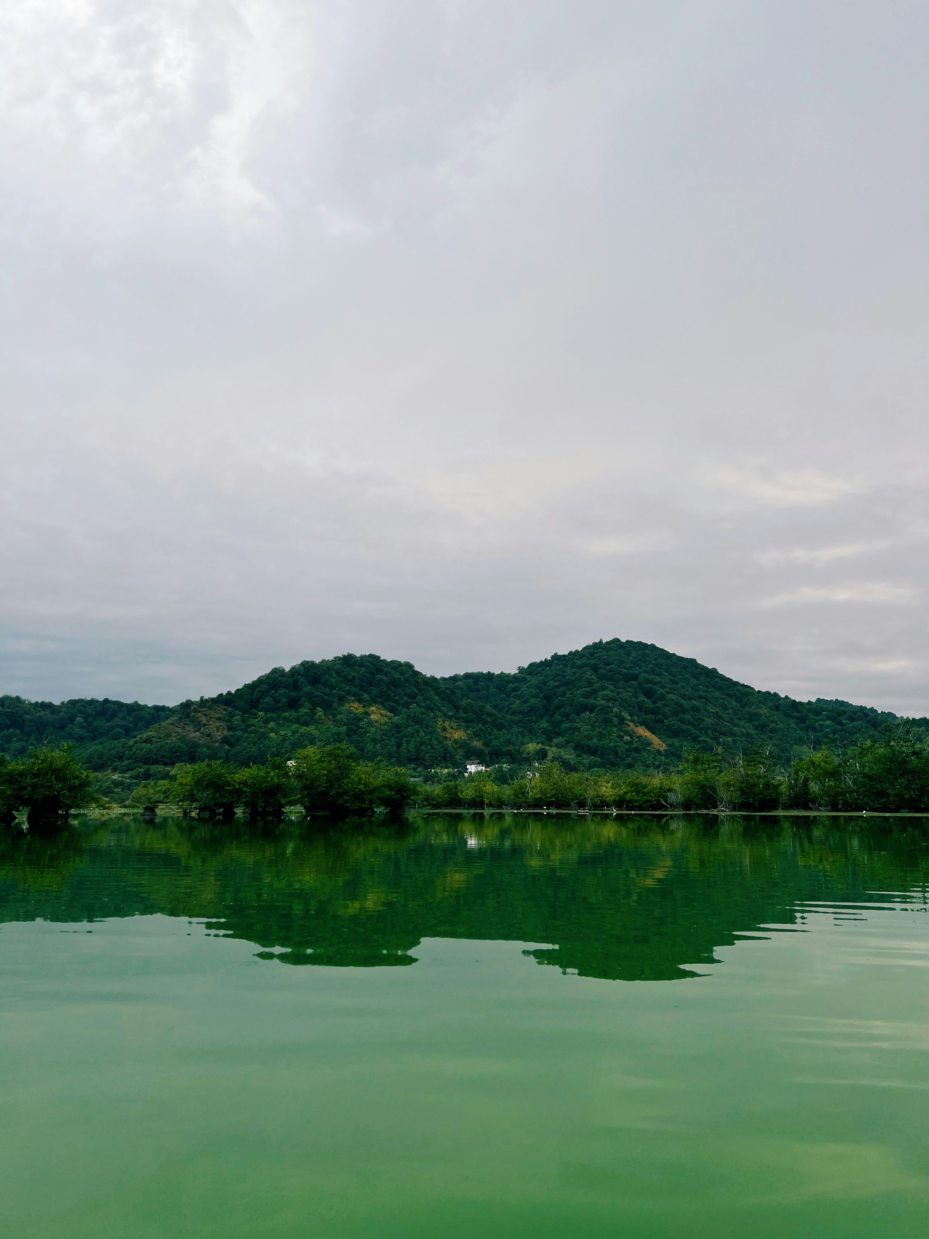 Green Ridge Reflected: A Quiet Lake vista beneath a Cloudy Sky