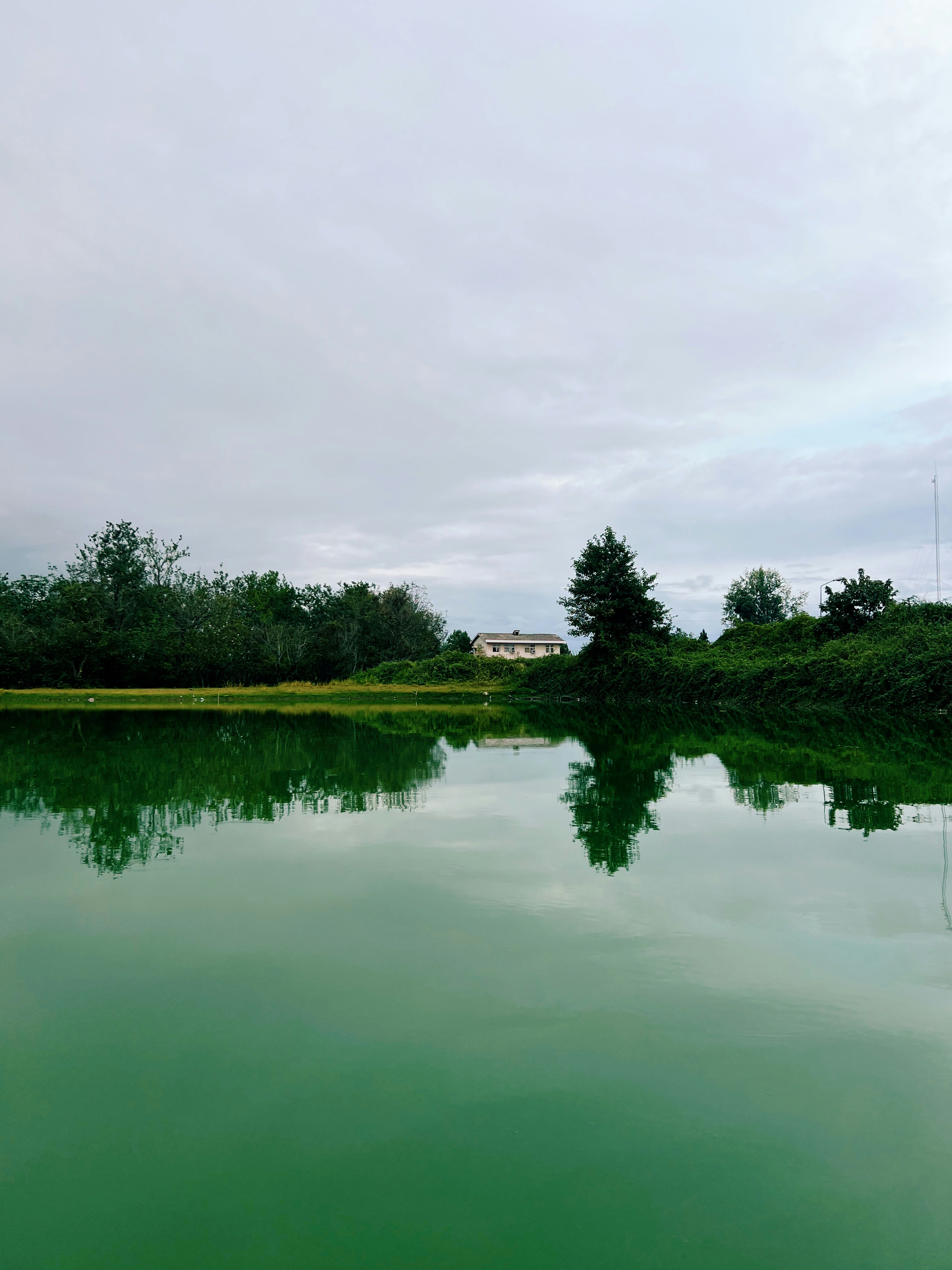 Green Mirror: A Quiet Pond Framed by distant trees and a solitary house