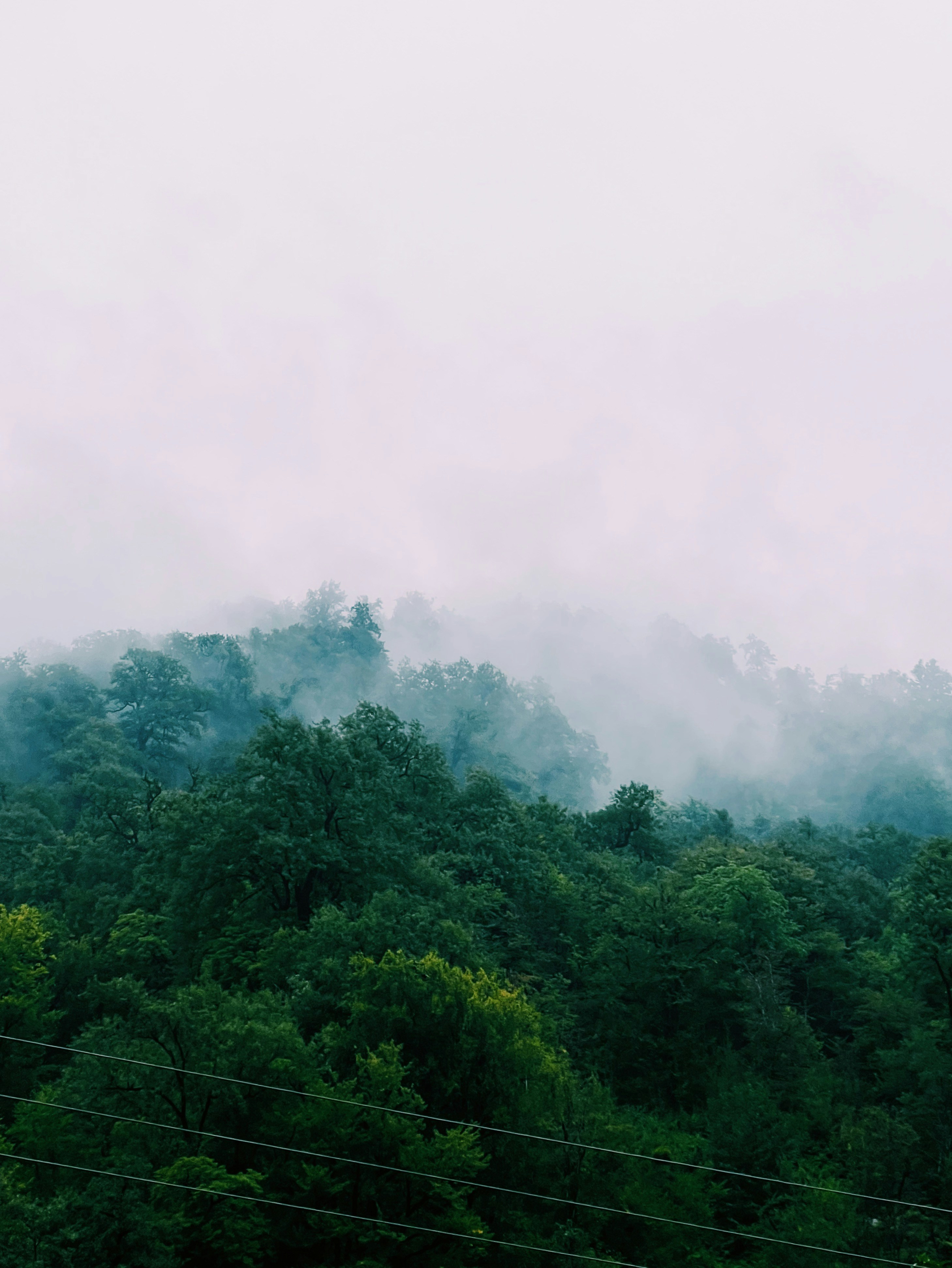 Fogbound Ridge: Verdant Slopes Beneath a Hazy Sky
