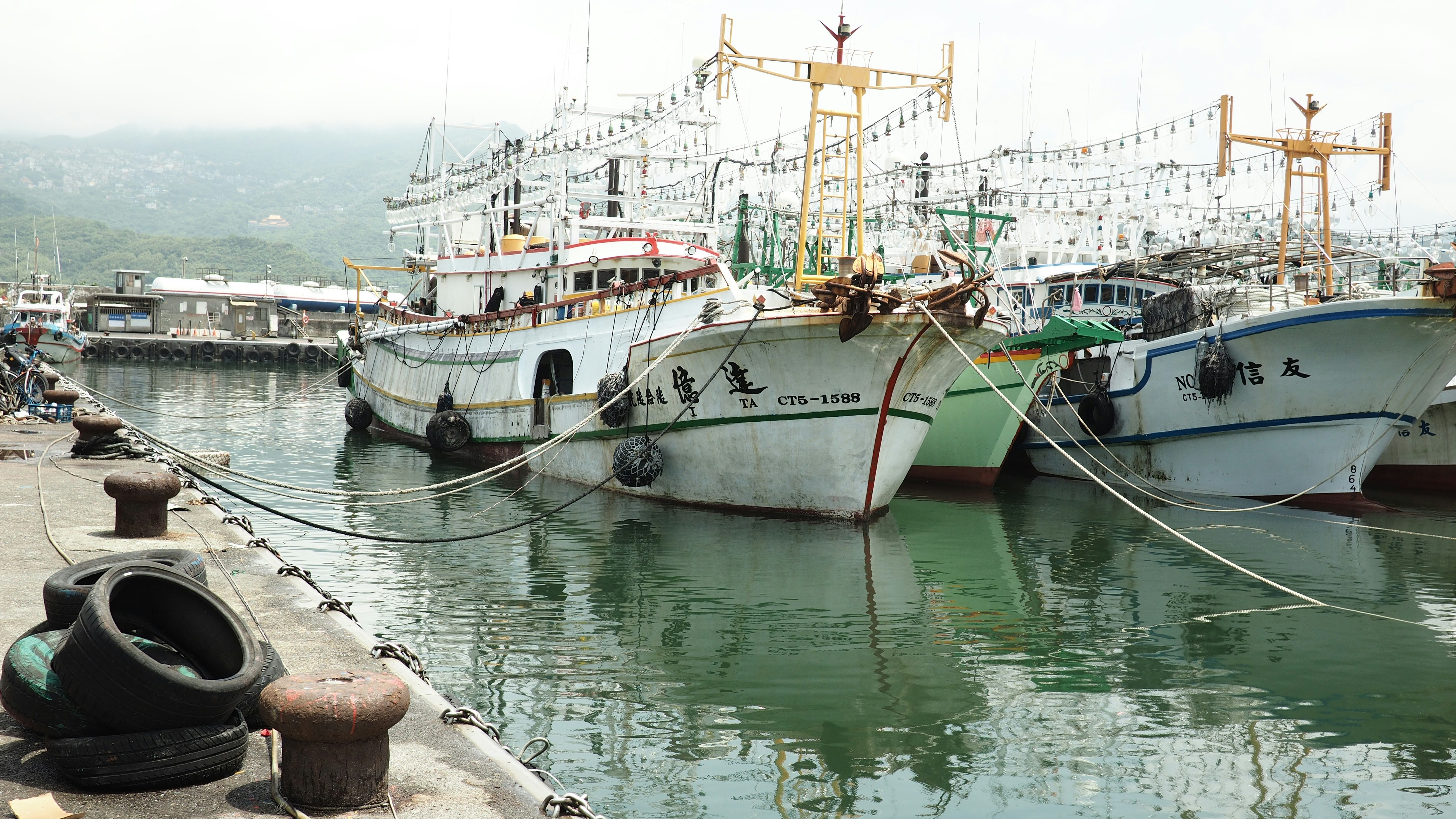 Harbor Tranquility: Docked Ships Under Cloudy Light