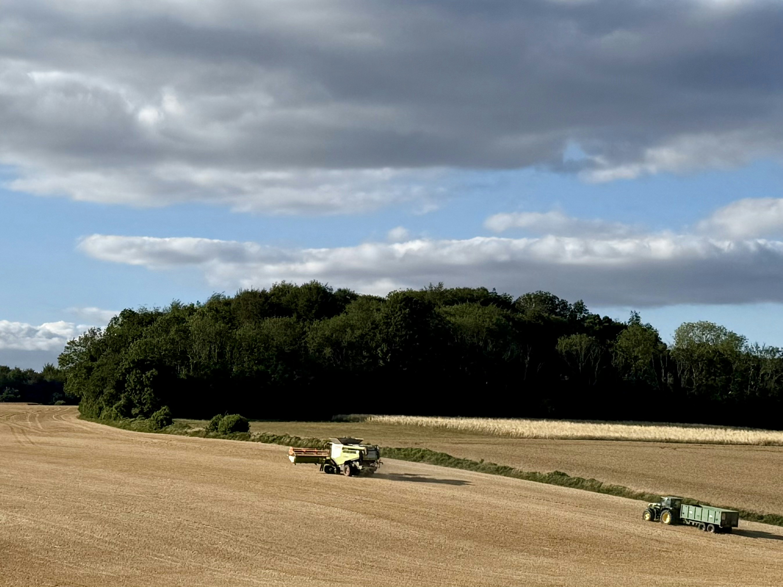 Harvest Field at Dusk: Tranquil Tractor Rendezvous