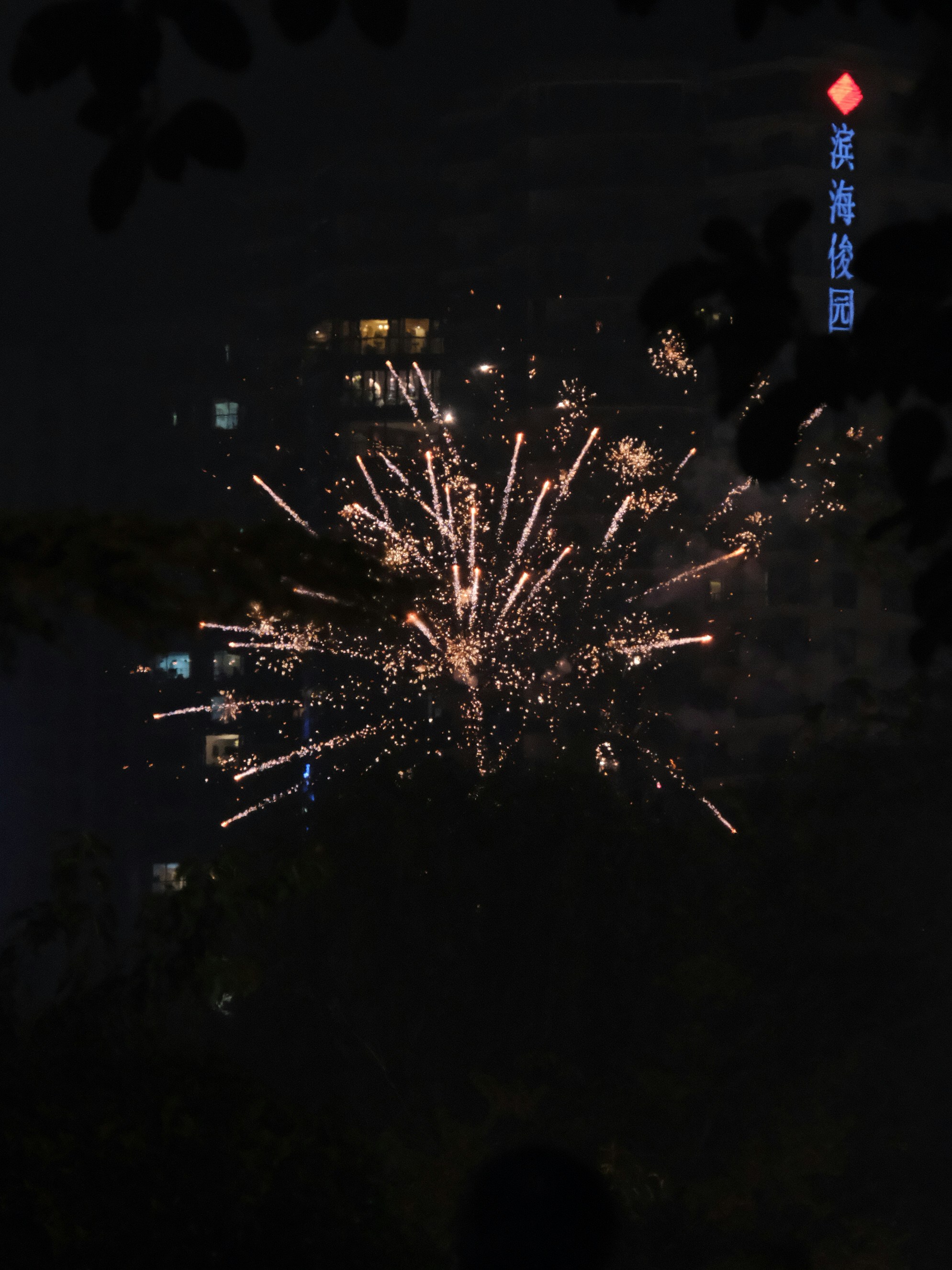 Night Firework Bloom Over a Dark Campus Courtyard