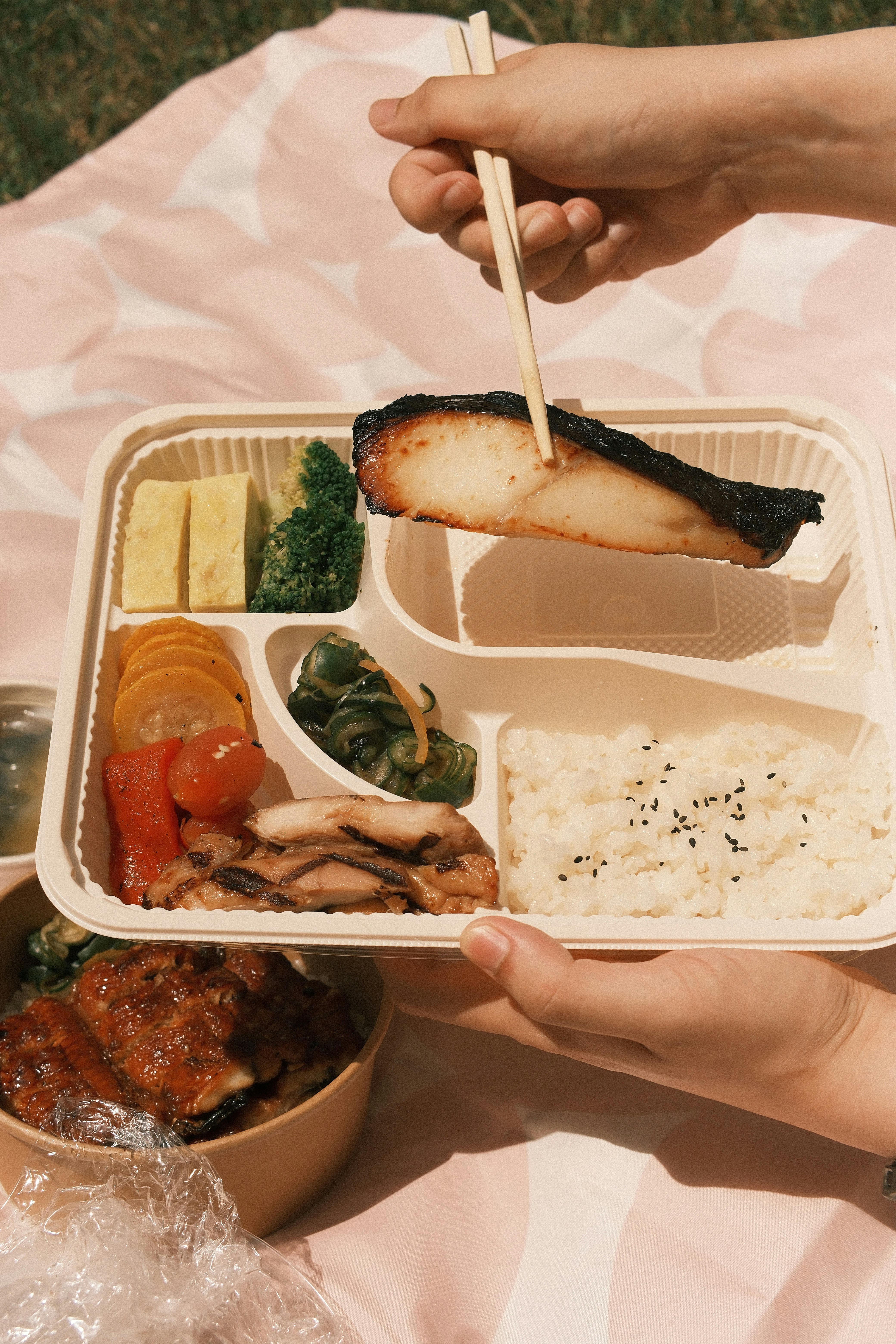 Chopsticks Lift a Glowing Bite: Bento in Natural Light