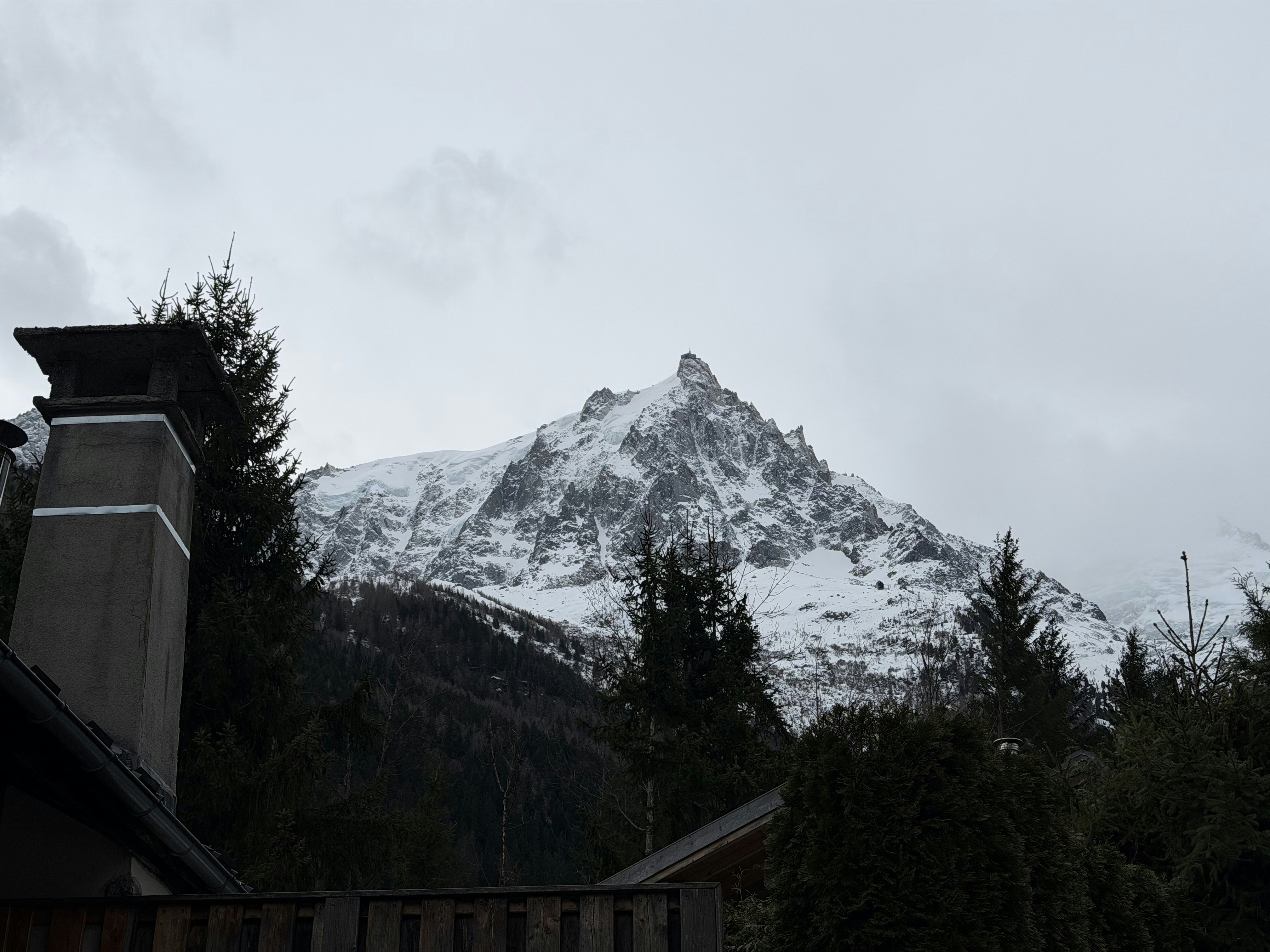 Snow-Capped Peak Over A Quiet Timberline