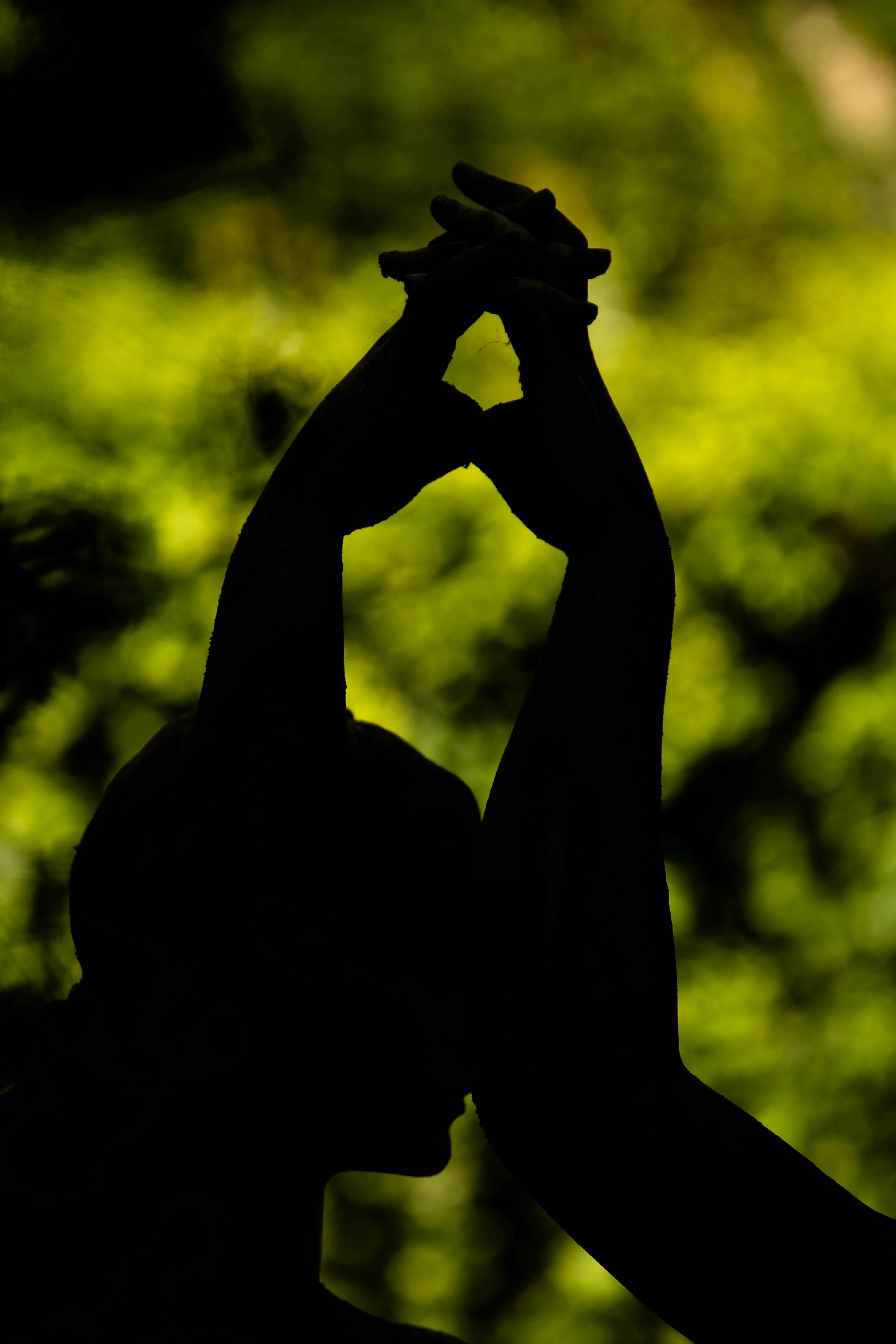 Intertwined Gesture: Silhouetted Limbs Against a Lime-green Veil