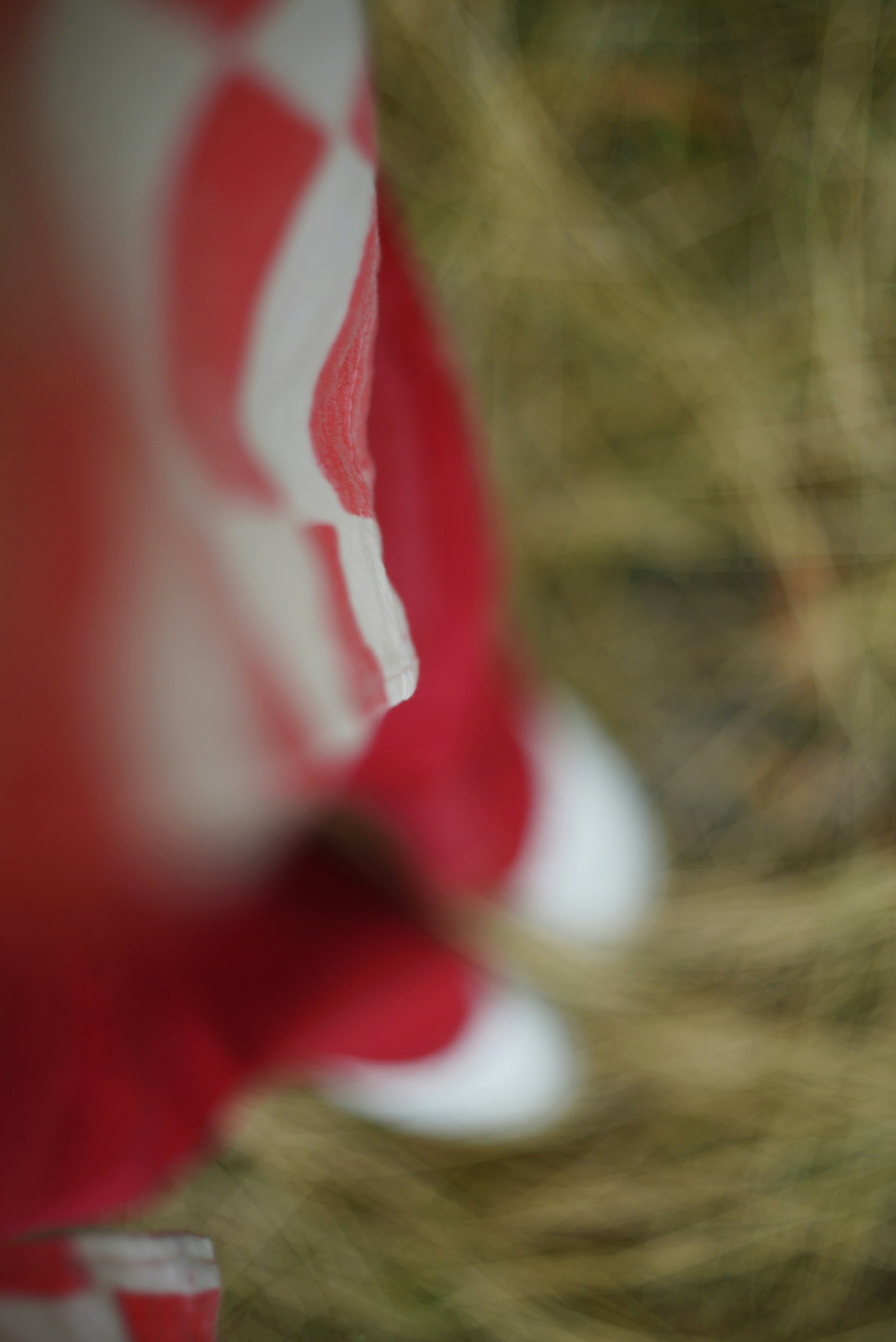 Stripe of Red: An Abstract Cloth in Field Blades