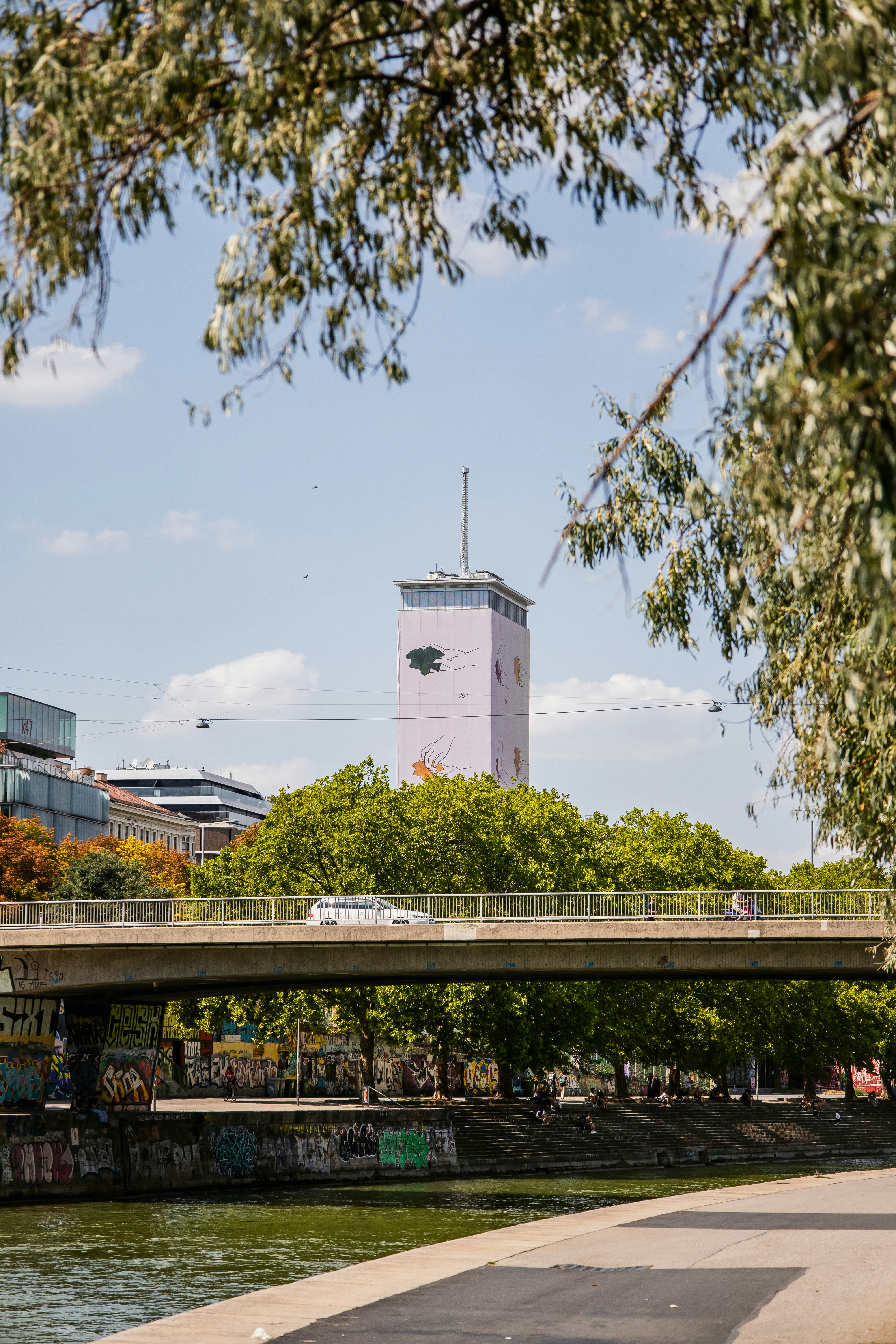 Skyline over the River: A Graffitied Underpass Framed by Green Canopy