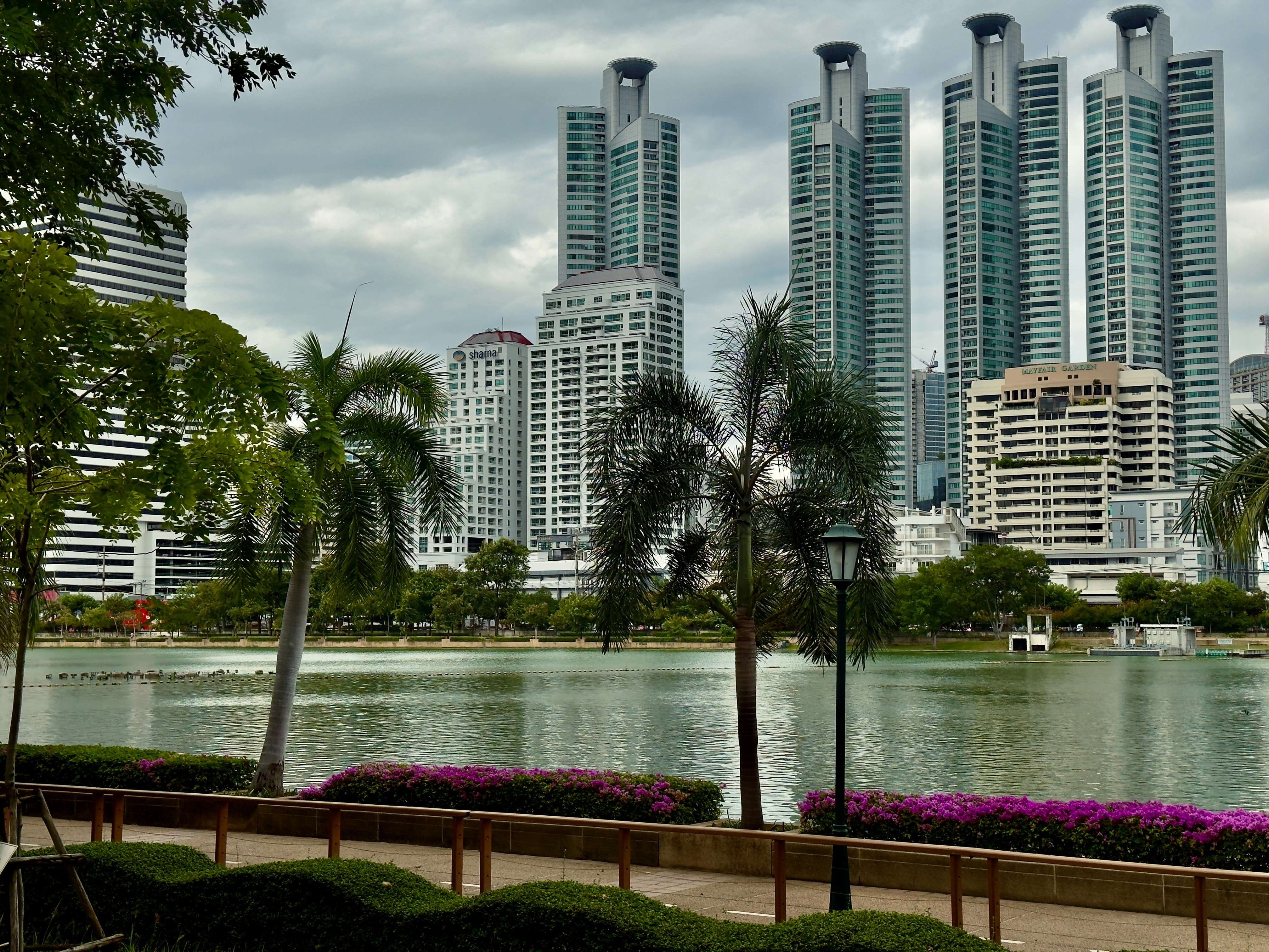 Cityscape by the Water: Skyscrapers Against a Palm-Fringed Park