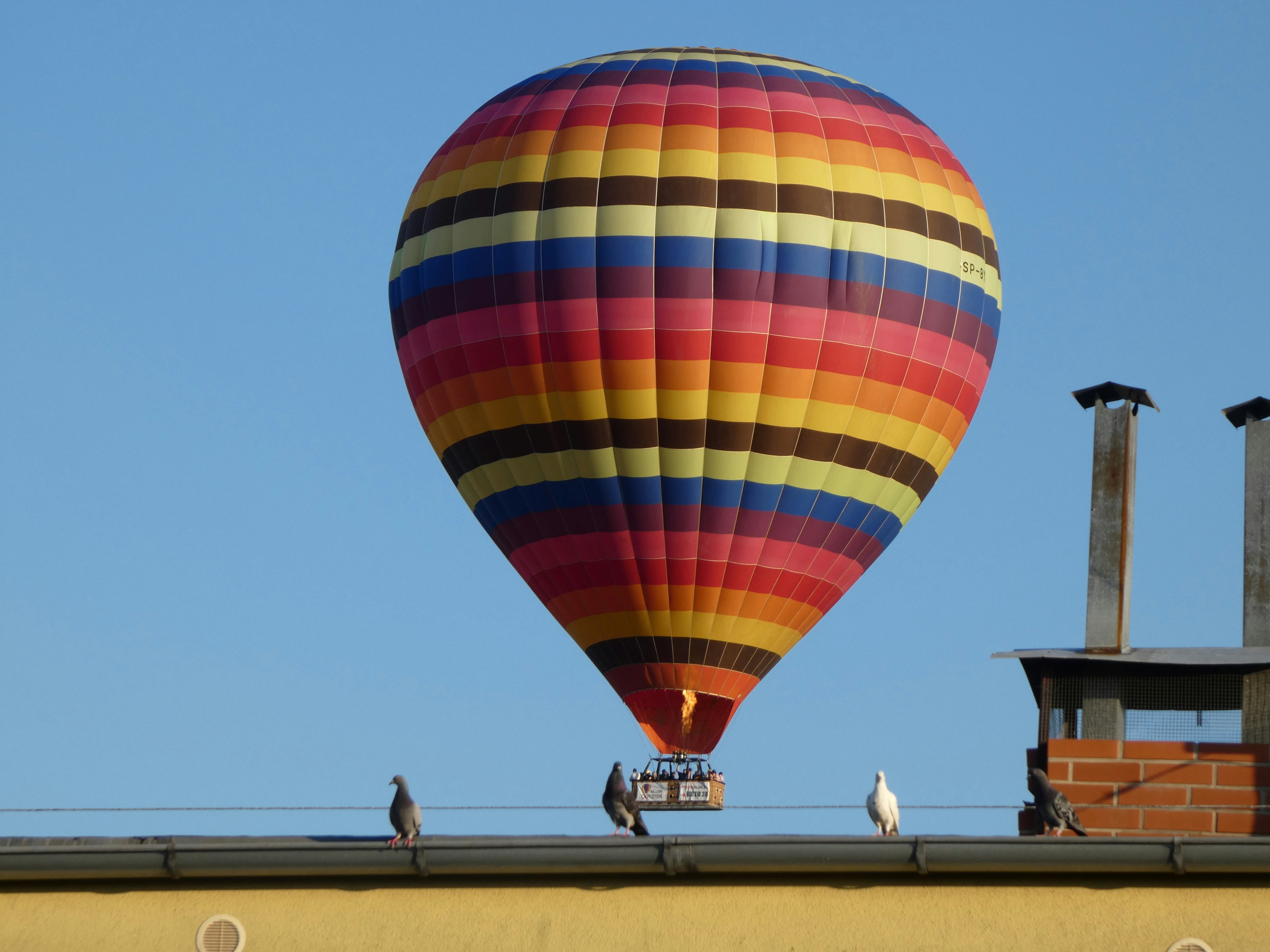 Ascending Spectrum: A Balloon's Quiet Rise over the Rooftop