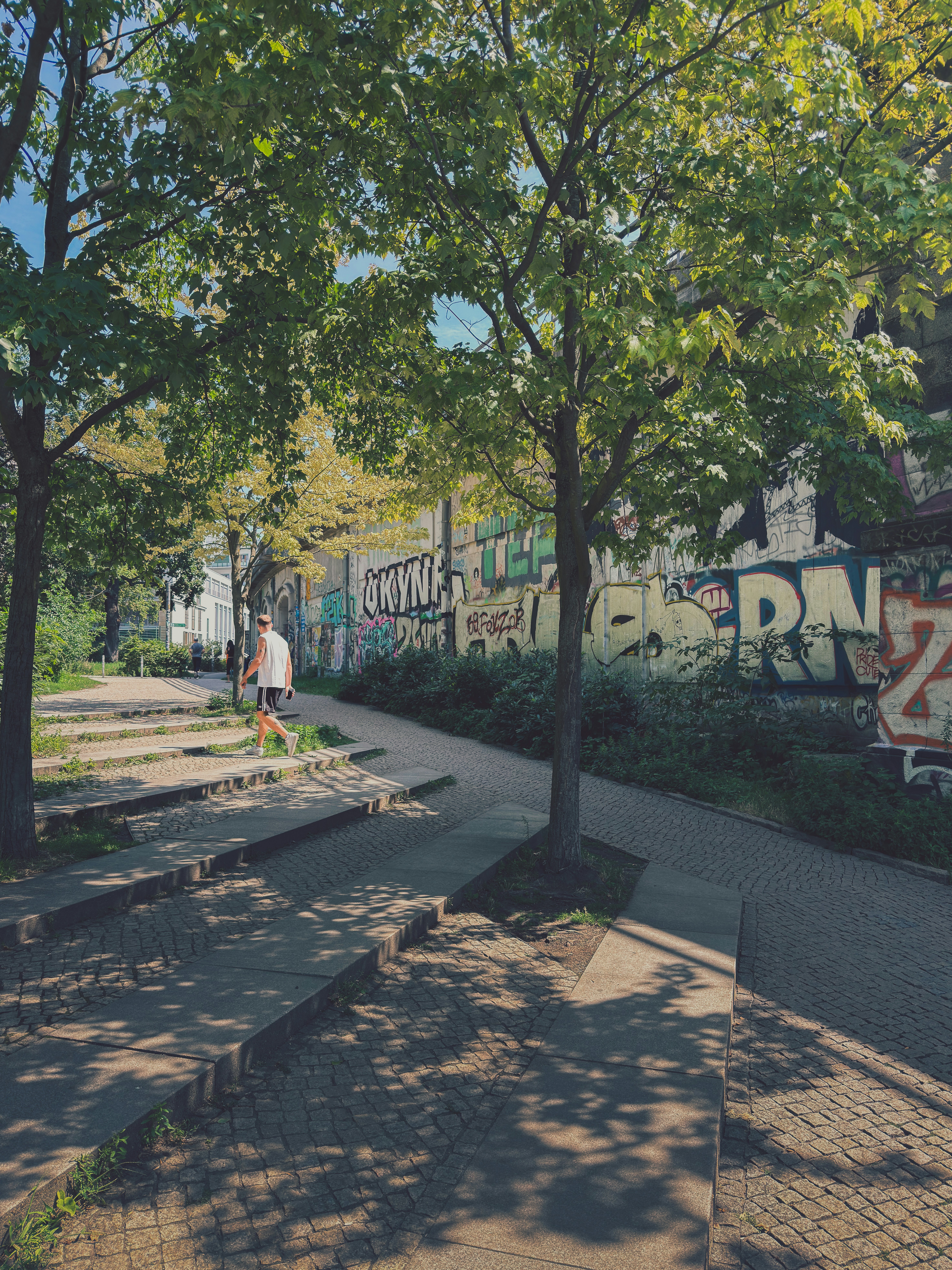 Graffiti Alley Walk: Sunlit Steps and Tree Canopy