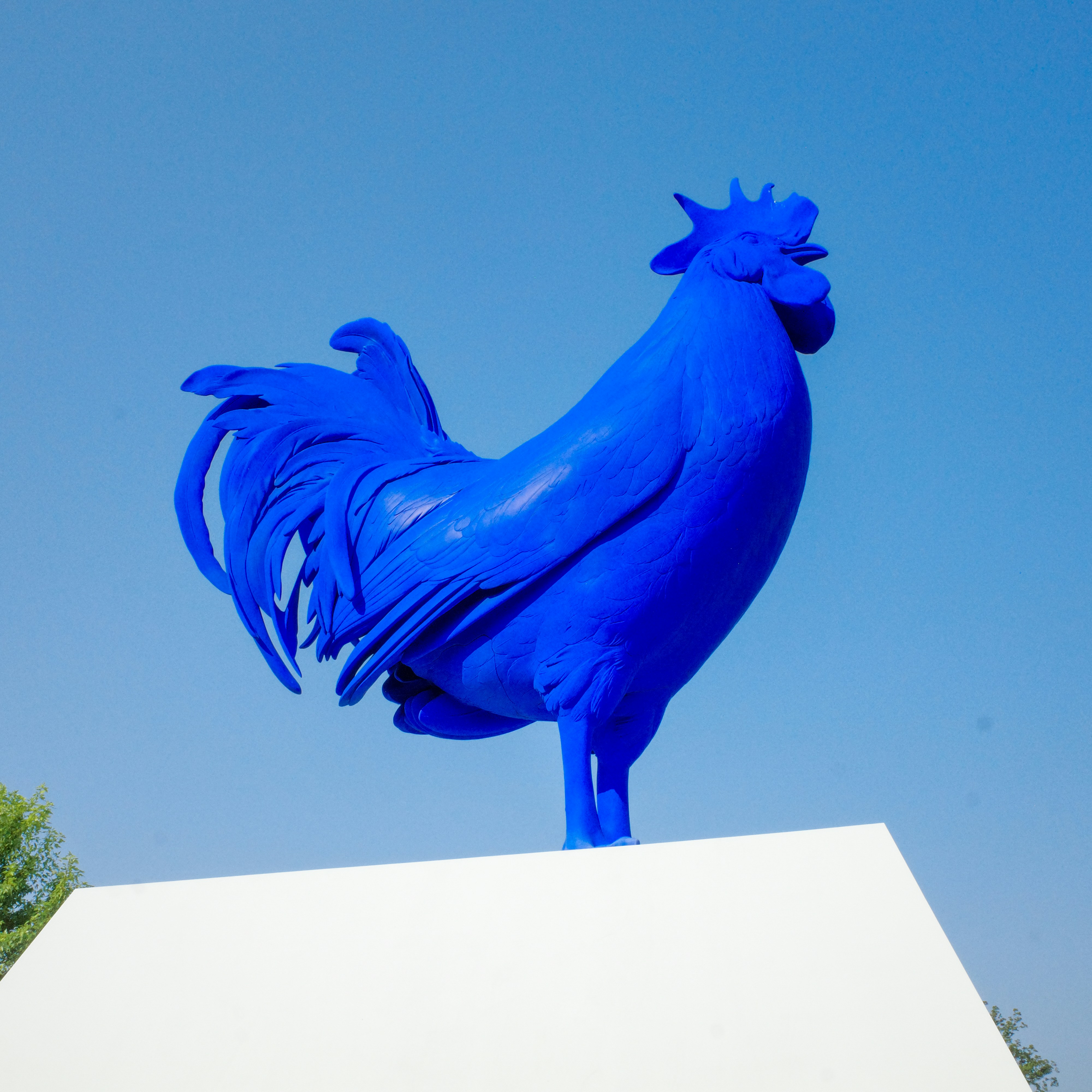 A cobalt-blue rooster sculpture perched on a white pedestal beneath a blue sky. The bold color and clean background emphasize the artwork’s shape and presence.