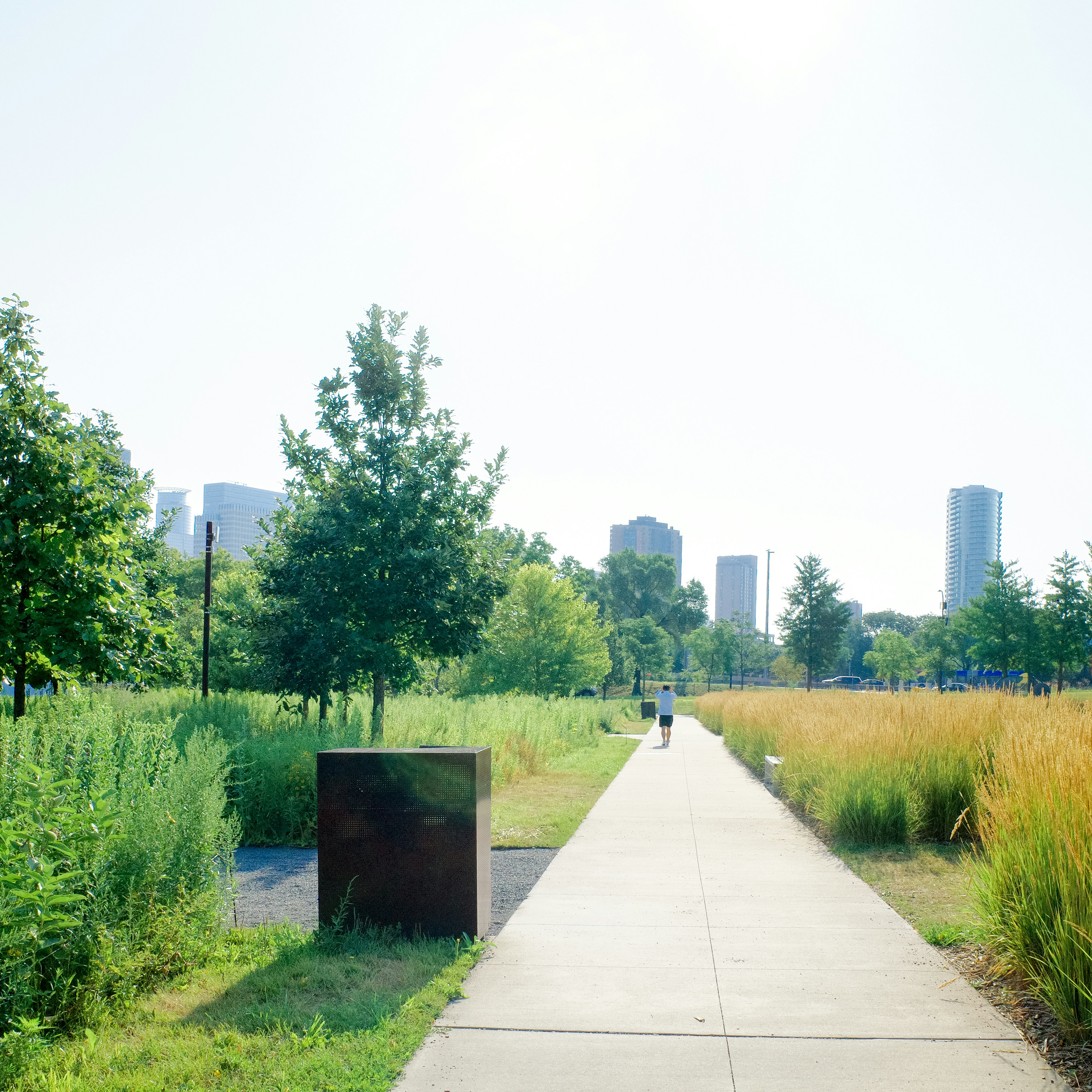 Wide path through a park with tall grasses and trees leading toward distant buildings; a lone figure jogs along the avenue, sunlight washing the scene. (This is a photographic capture, not a drawing or painting.)