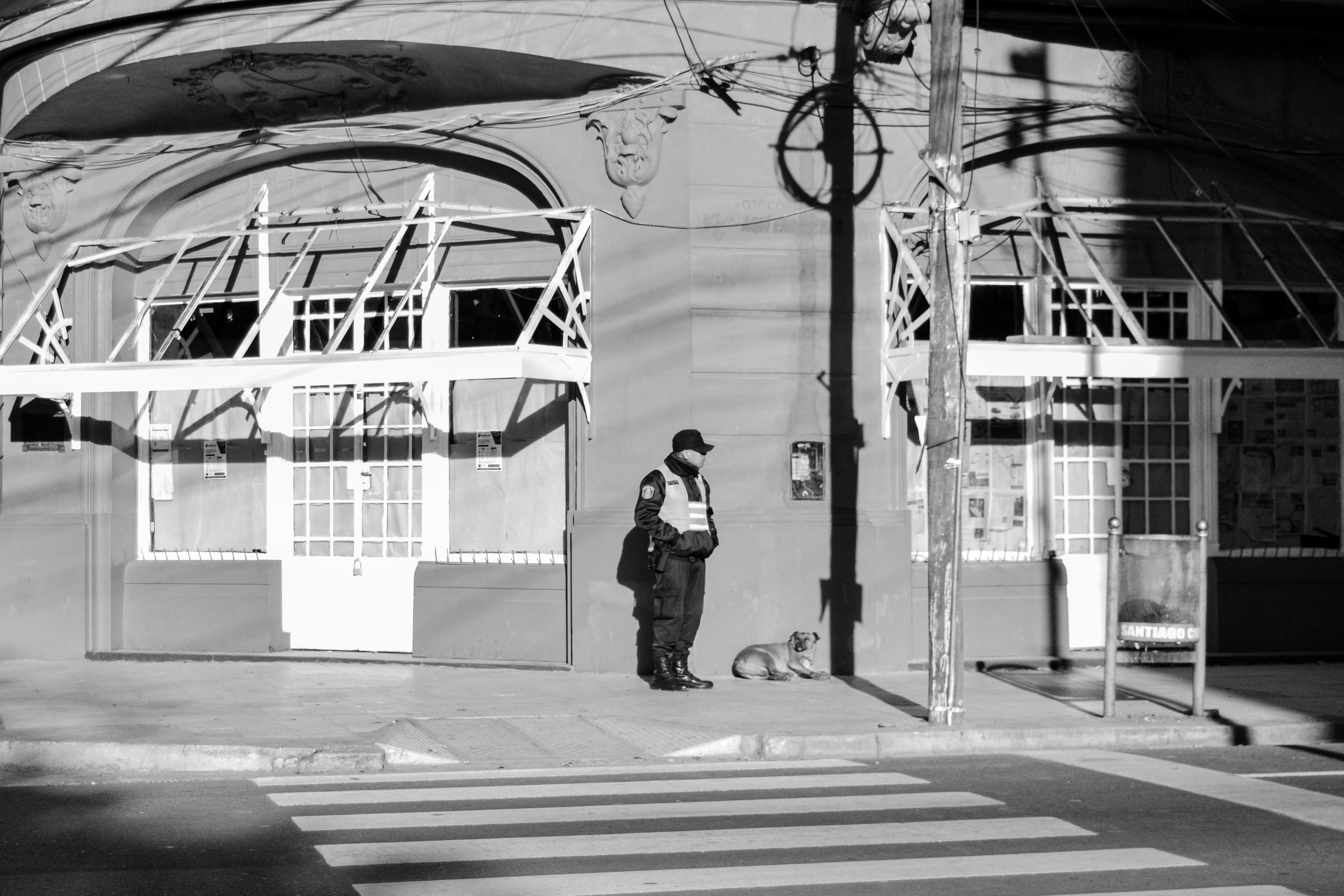 Crosswalk Silence: A Quiet Moment on a City Block