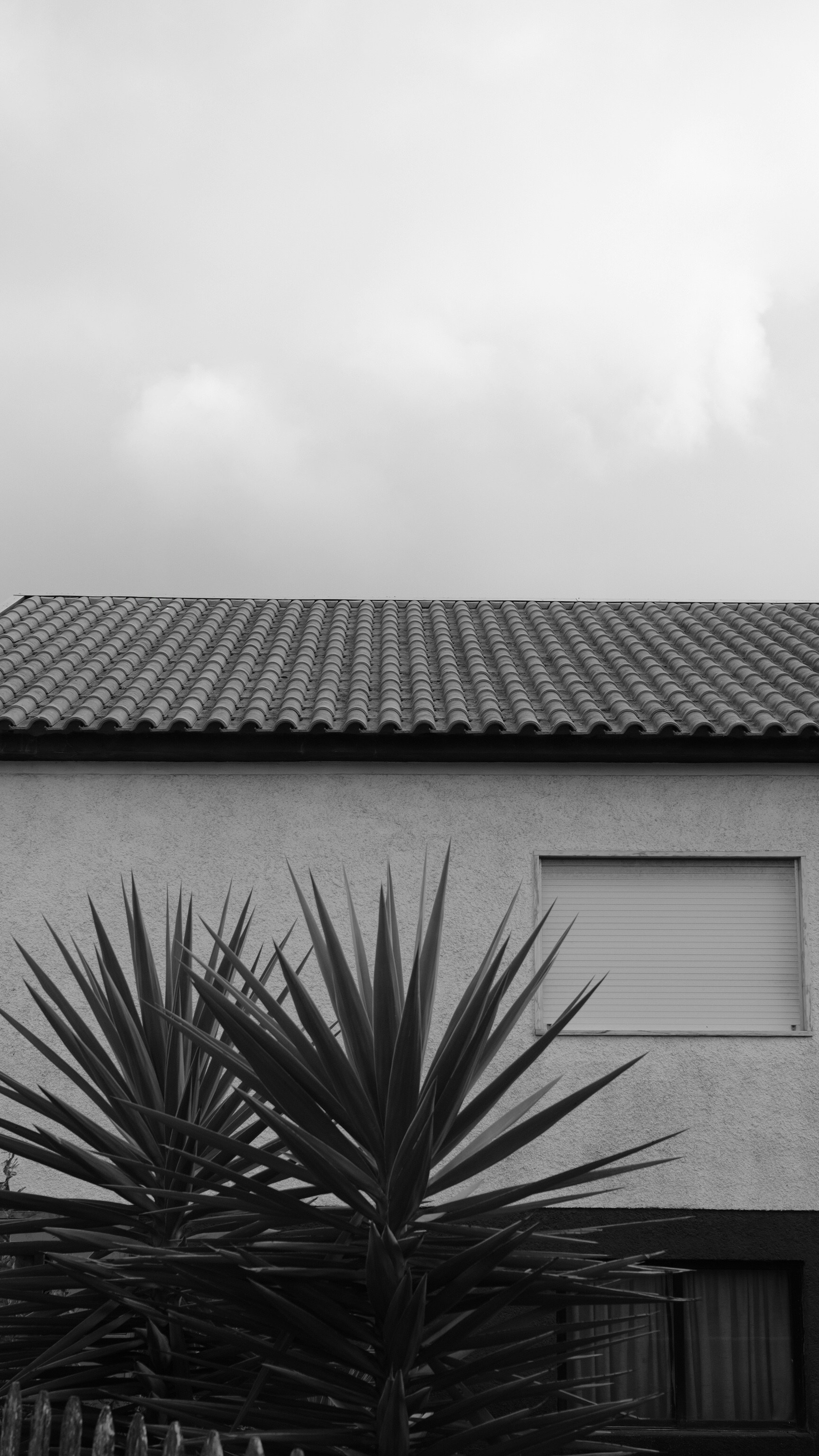 Deserted Housefront with Spiky Foliage under Cloudy Sky