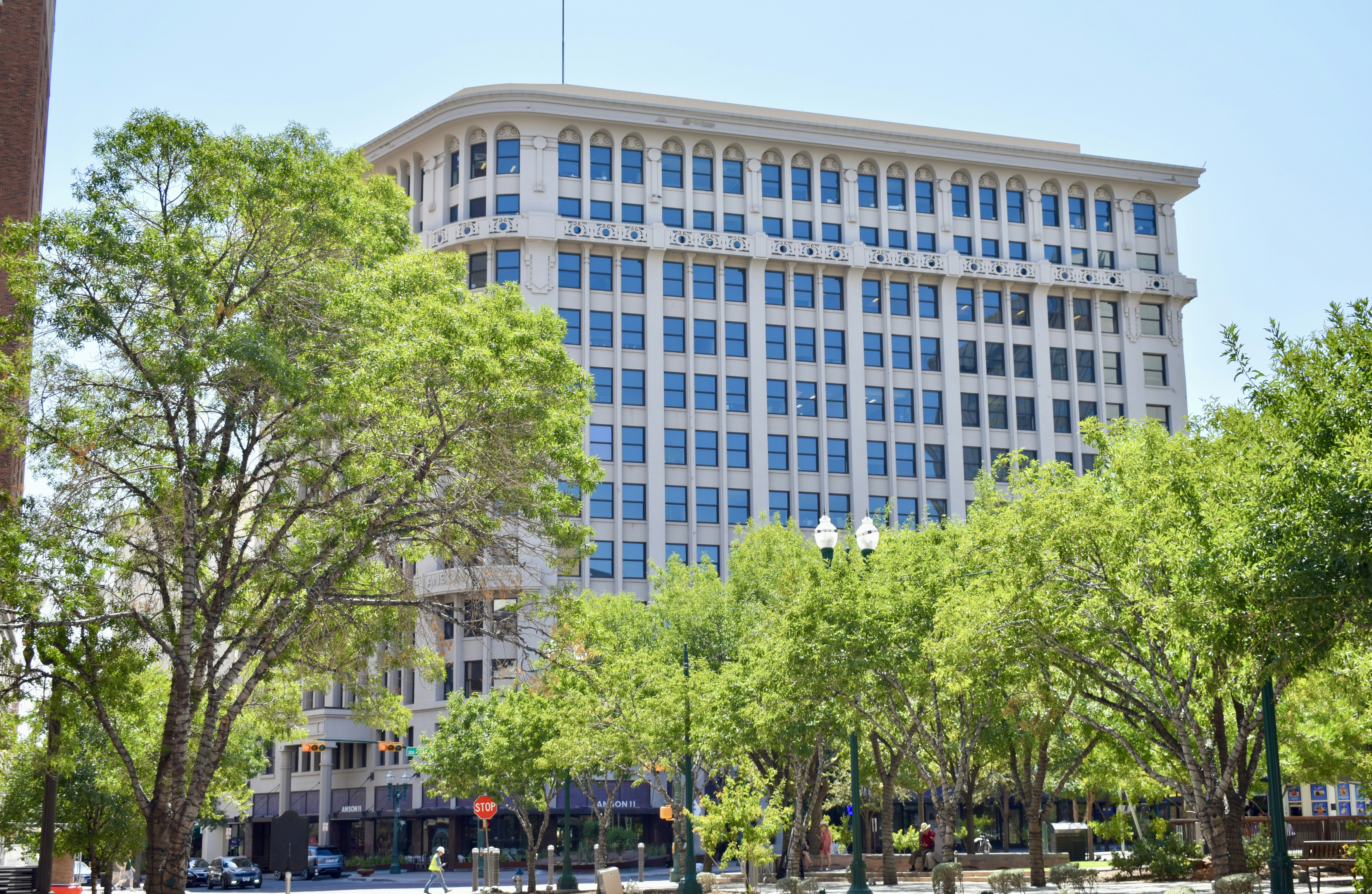 Sunlit City Hall Towers Amid Verdant Canopy