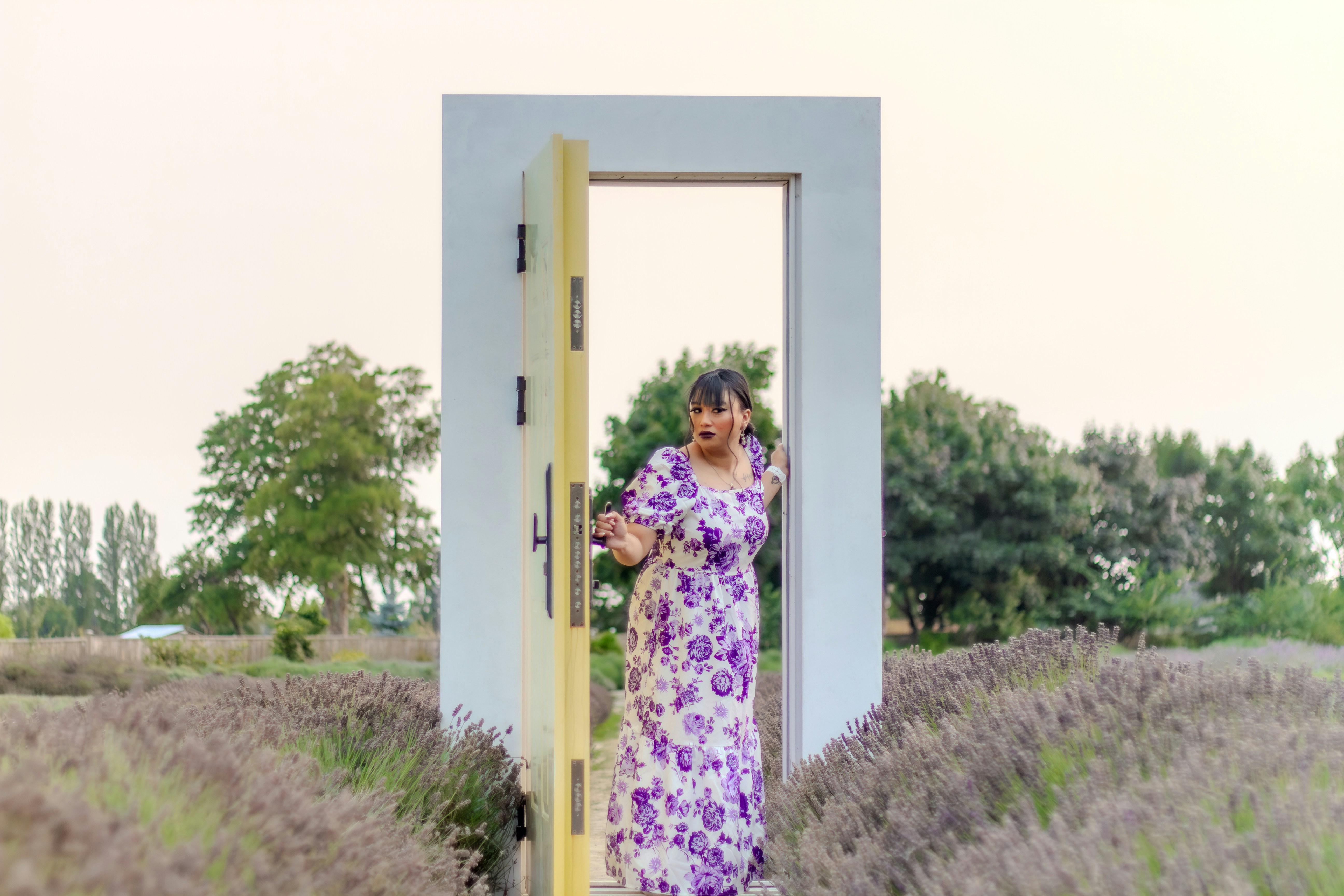 Through the Frame: A Lavender Pathway Opens to a Painted Door